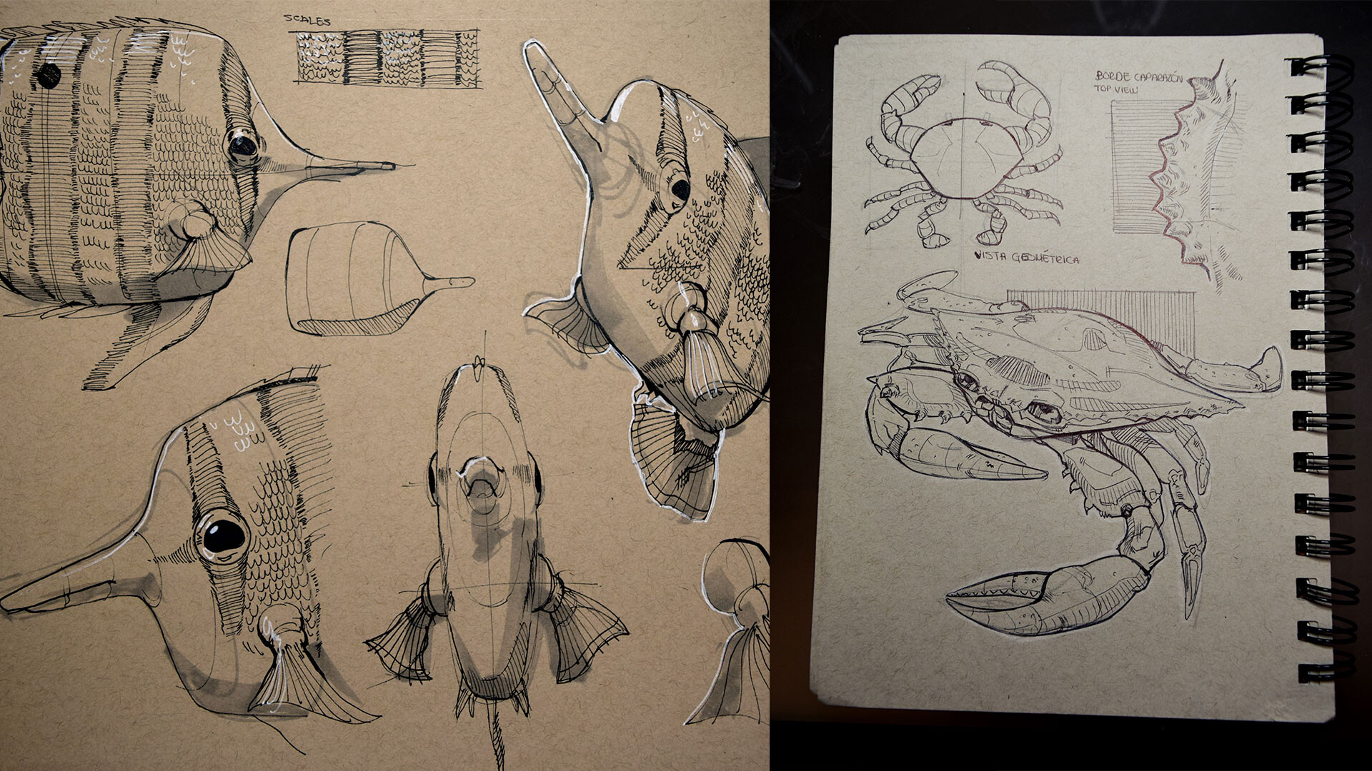 ArtStation - Dynamic Sketch | Studios Vol.2