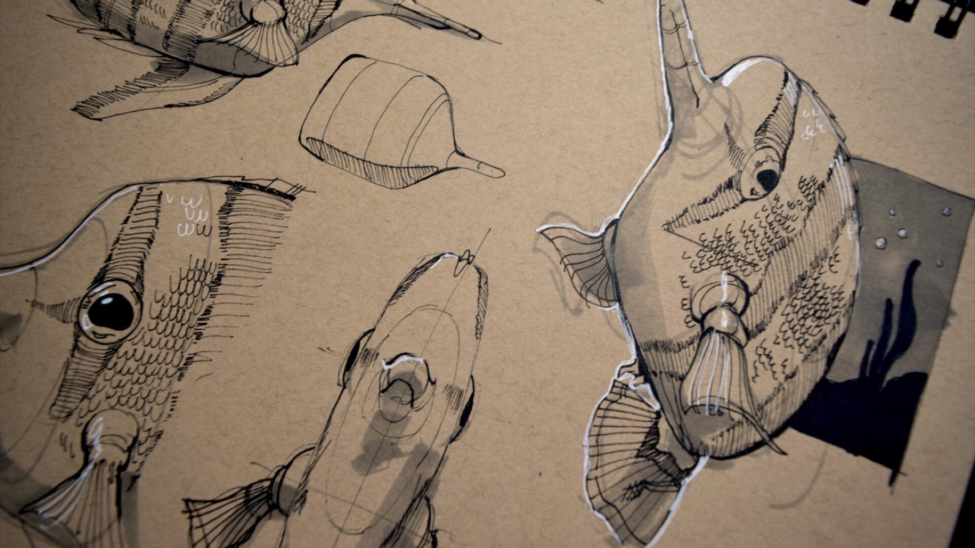 ArtStation - Dynamic Sketch l Butterfly Fish