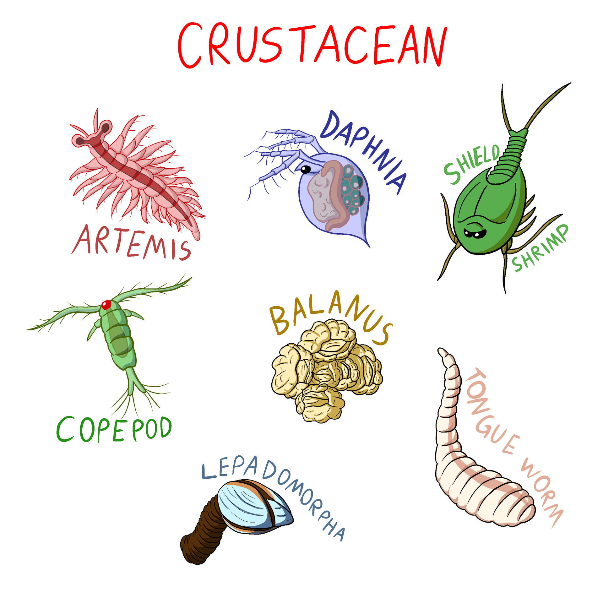 ArtStation - Crustacean