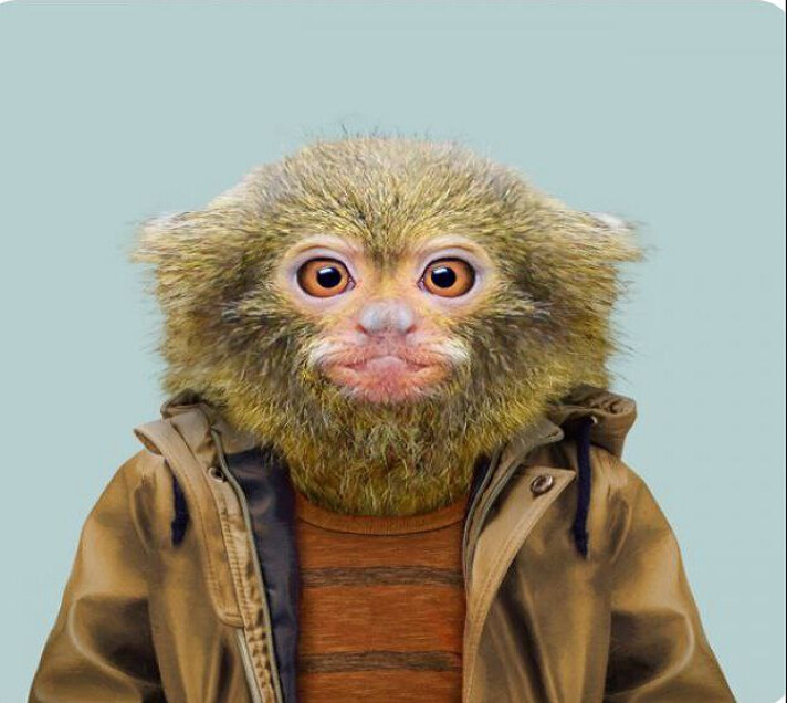 ArtStation - MONKEY 3D NFT ART