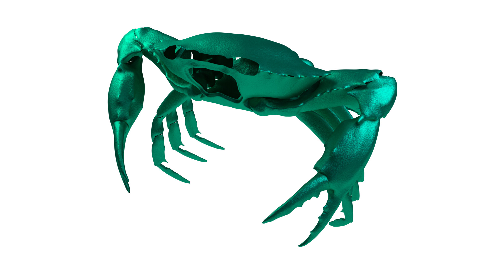 Erick Cobos - Salva a los Jarochos