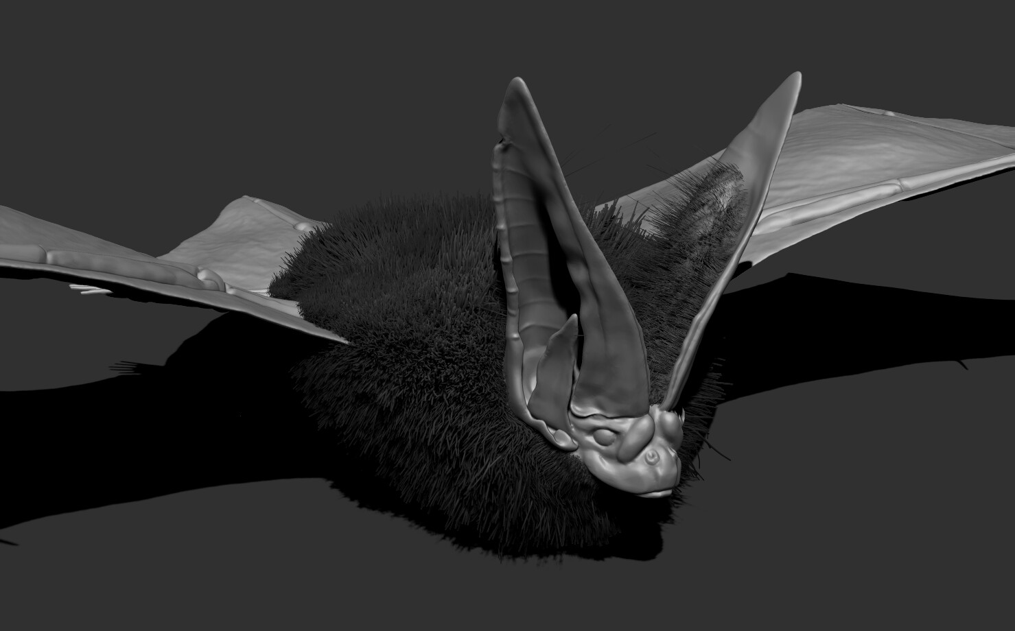 ArtStation - Animal Study: Bat