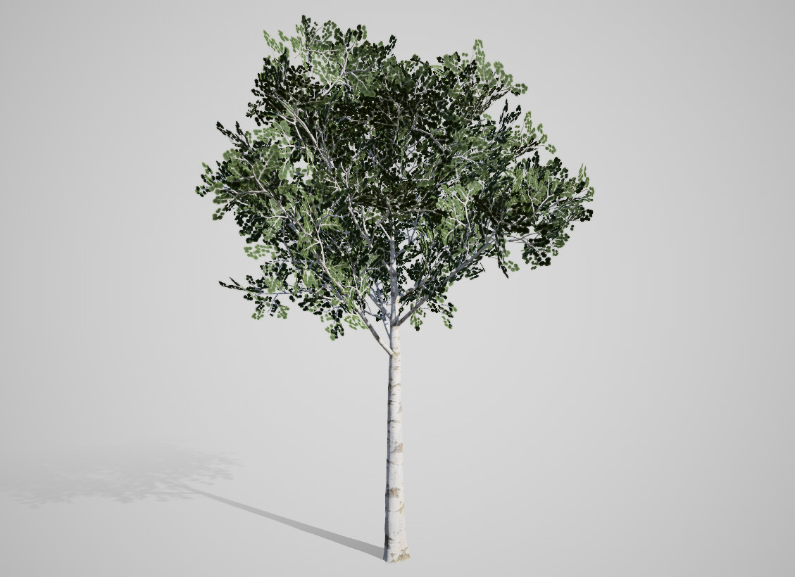 Xi Chen - Photorealism Trees and Plants