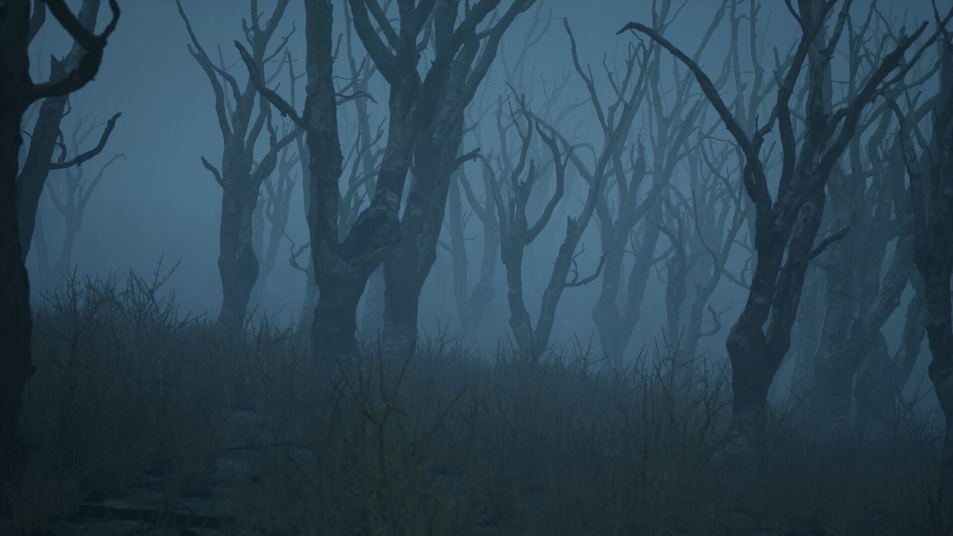 ArtStation - Dark Forest