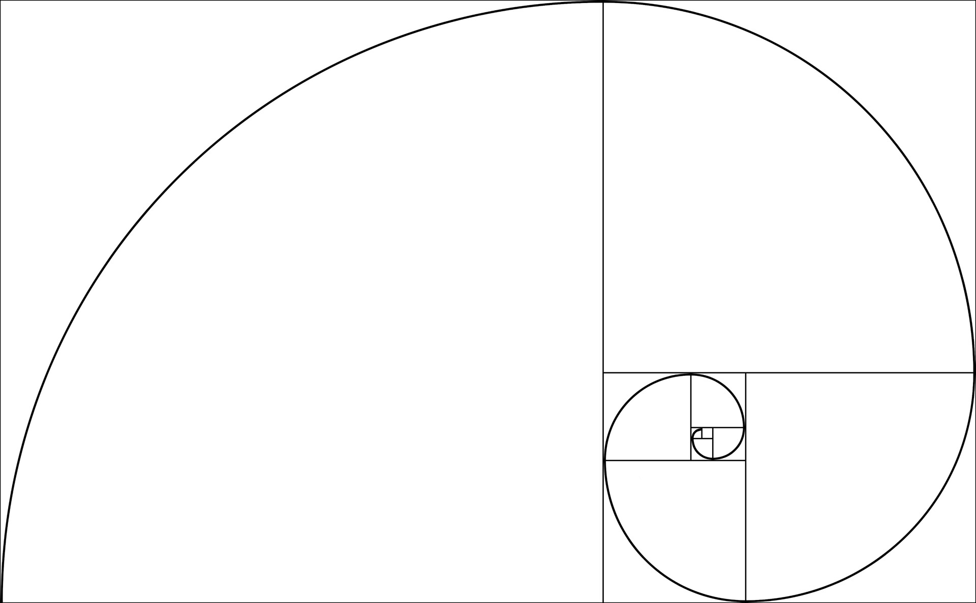 Fibonacci Spiral Art