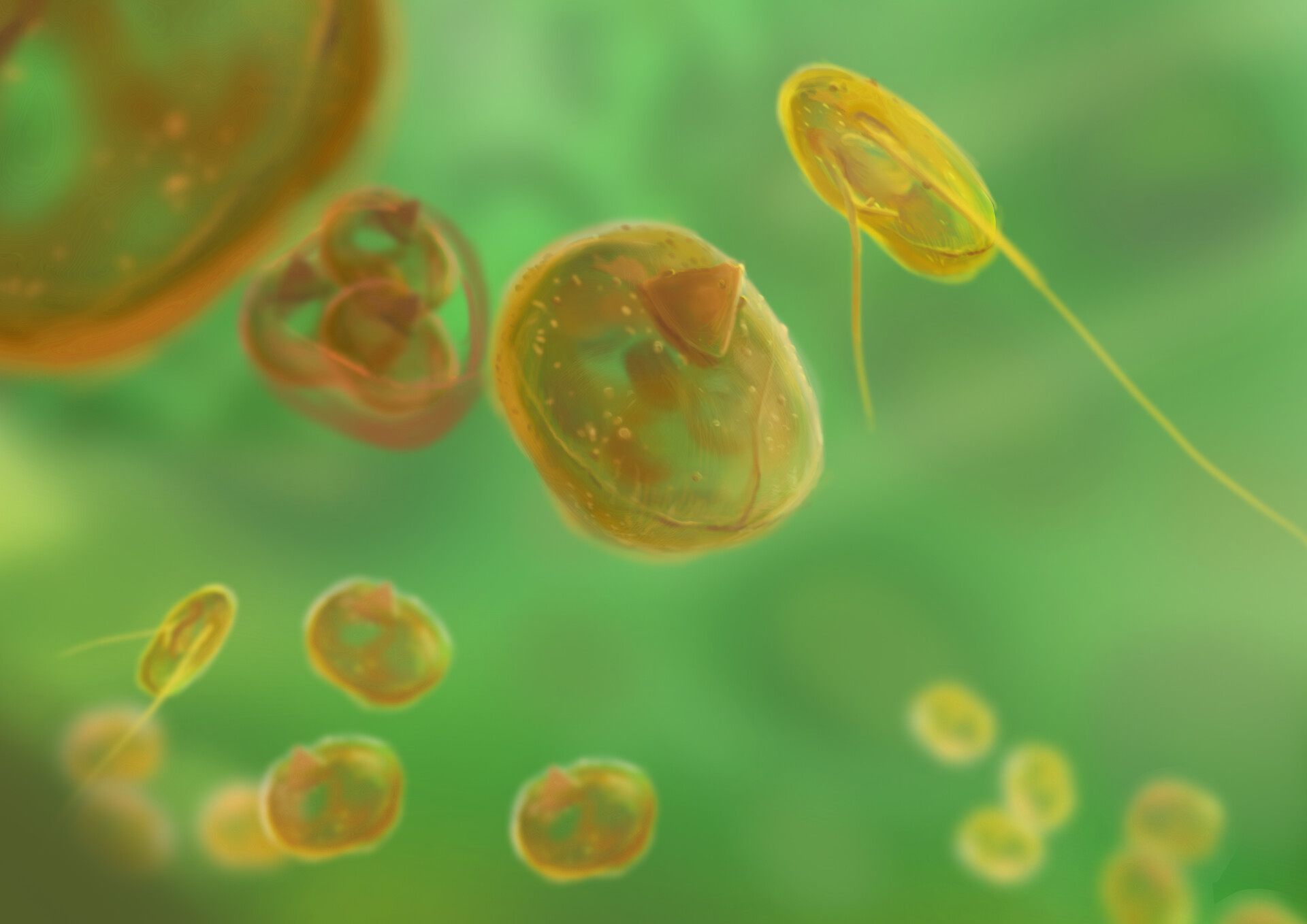 ArtStation - Chromera velia - PBS Eons