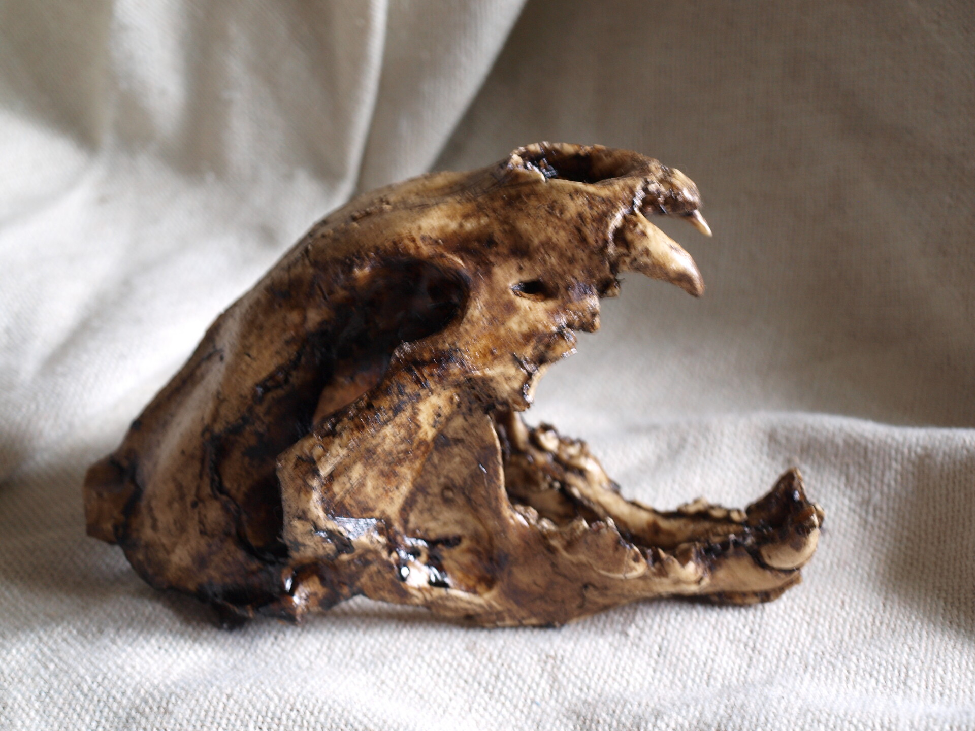 Кай Йара - wolverine skull