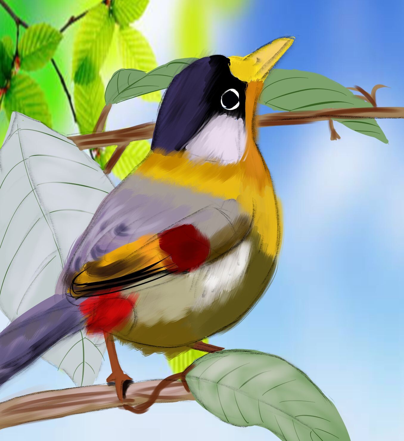 ArtStation - Bird Art