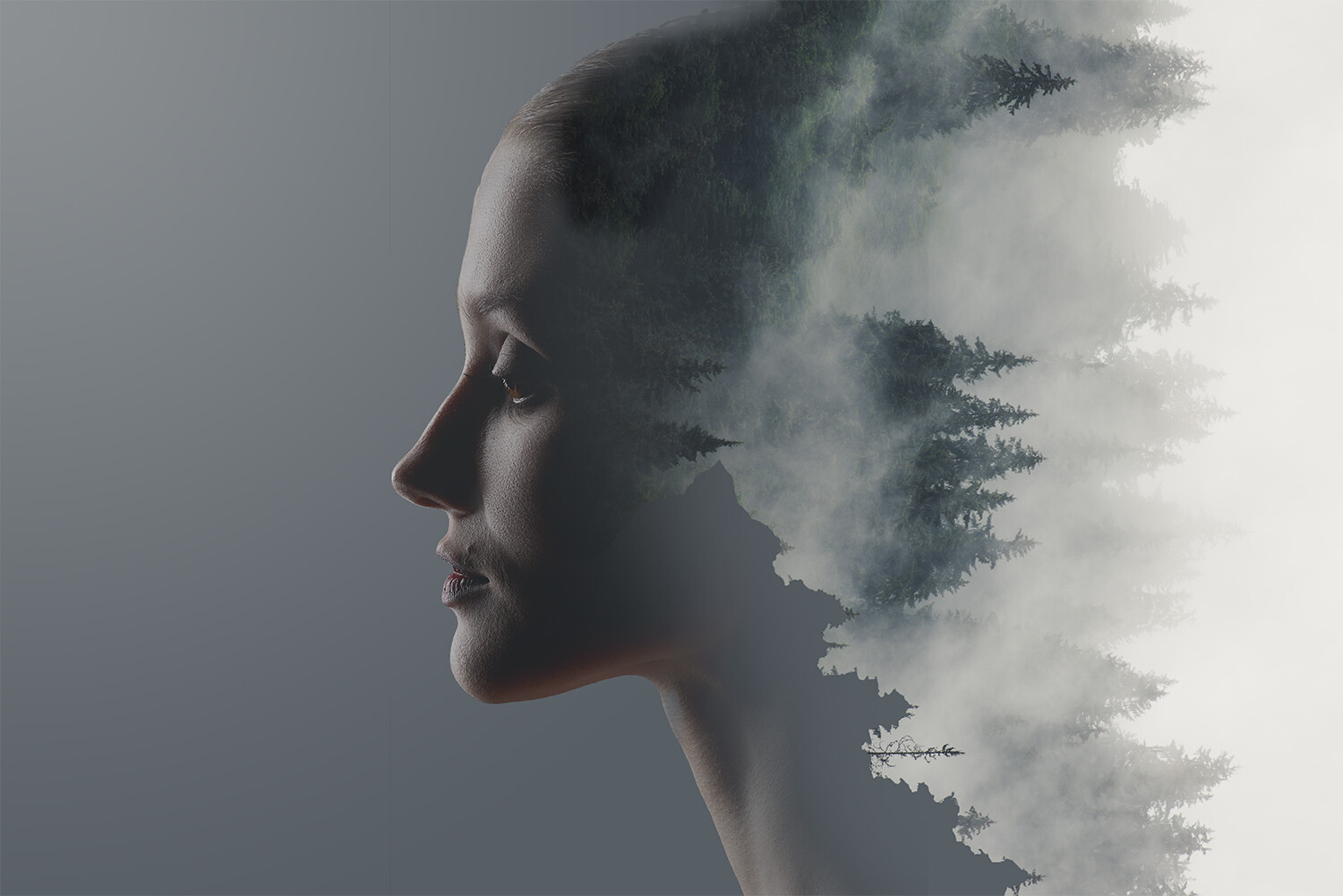 ArtStation - Double Exposure