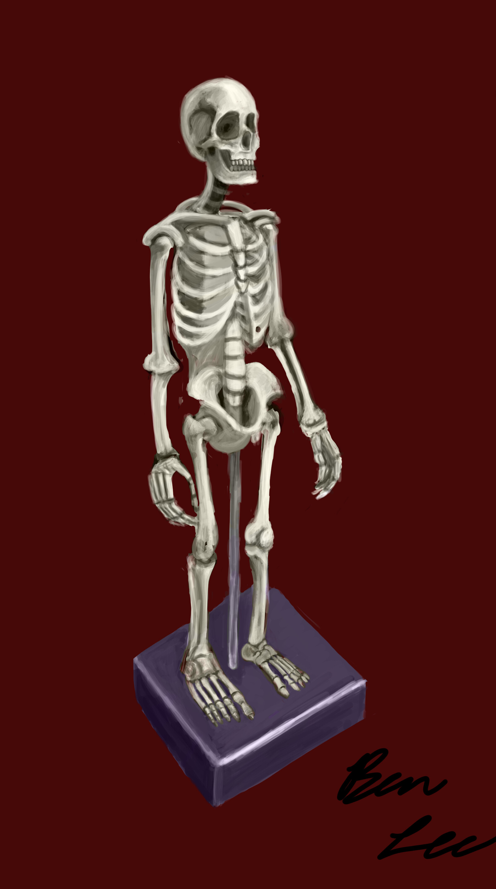 ArtStation - Skeleton Model