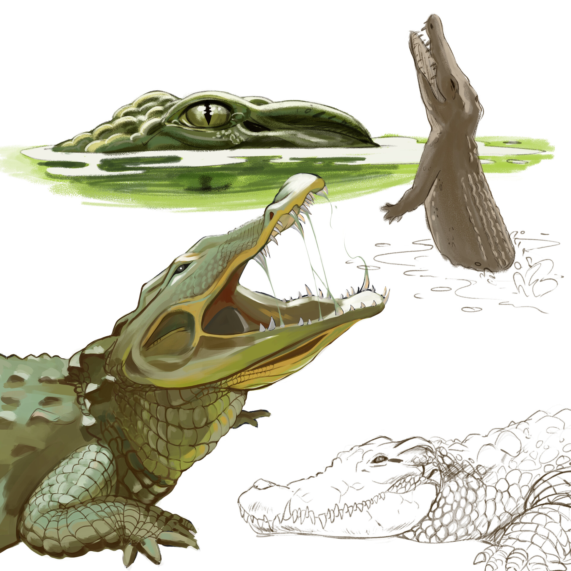 ArtStation - Crocs sketches