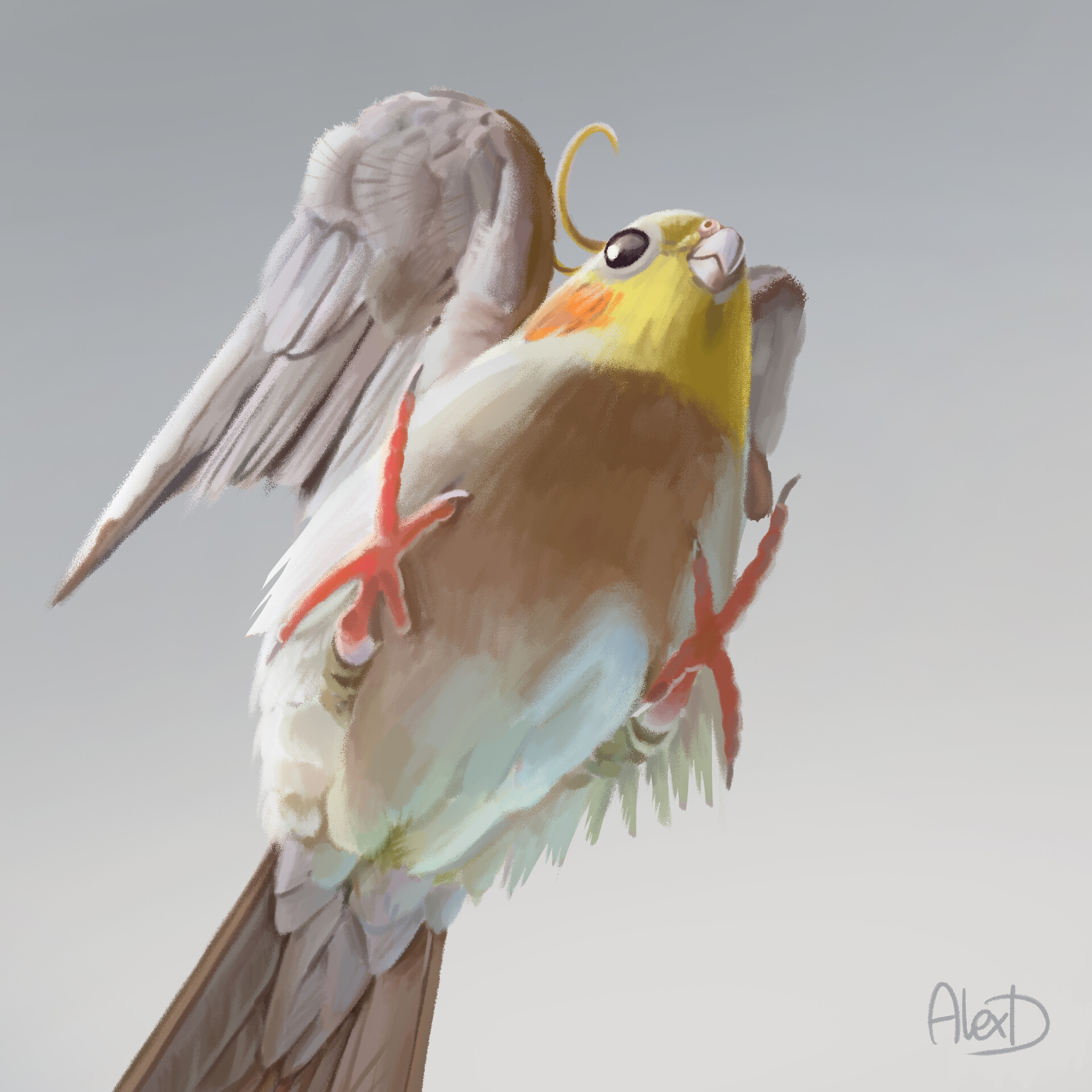 AlexD - Animal Practise