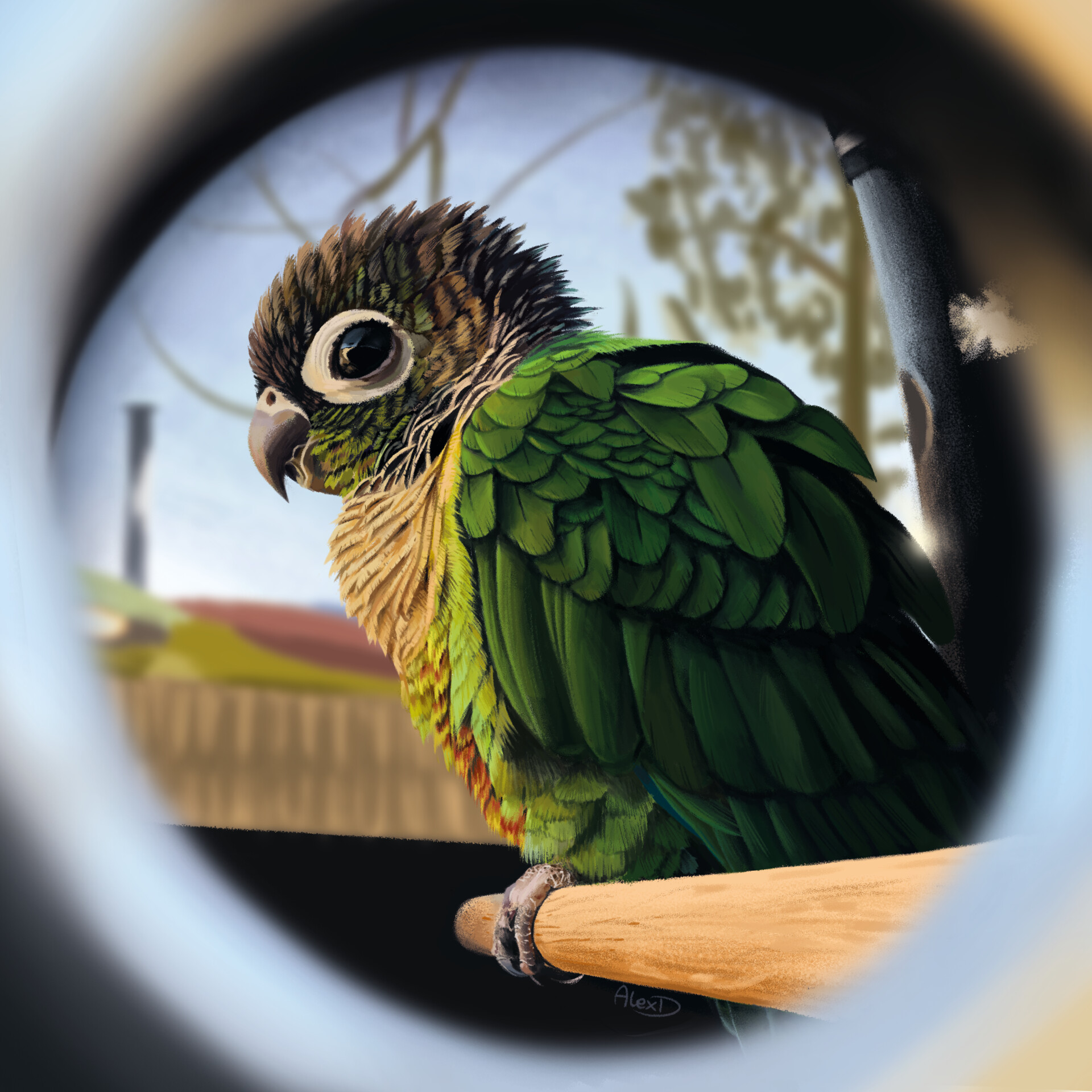 ArtStation - Pretty birdie