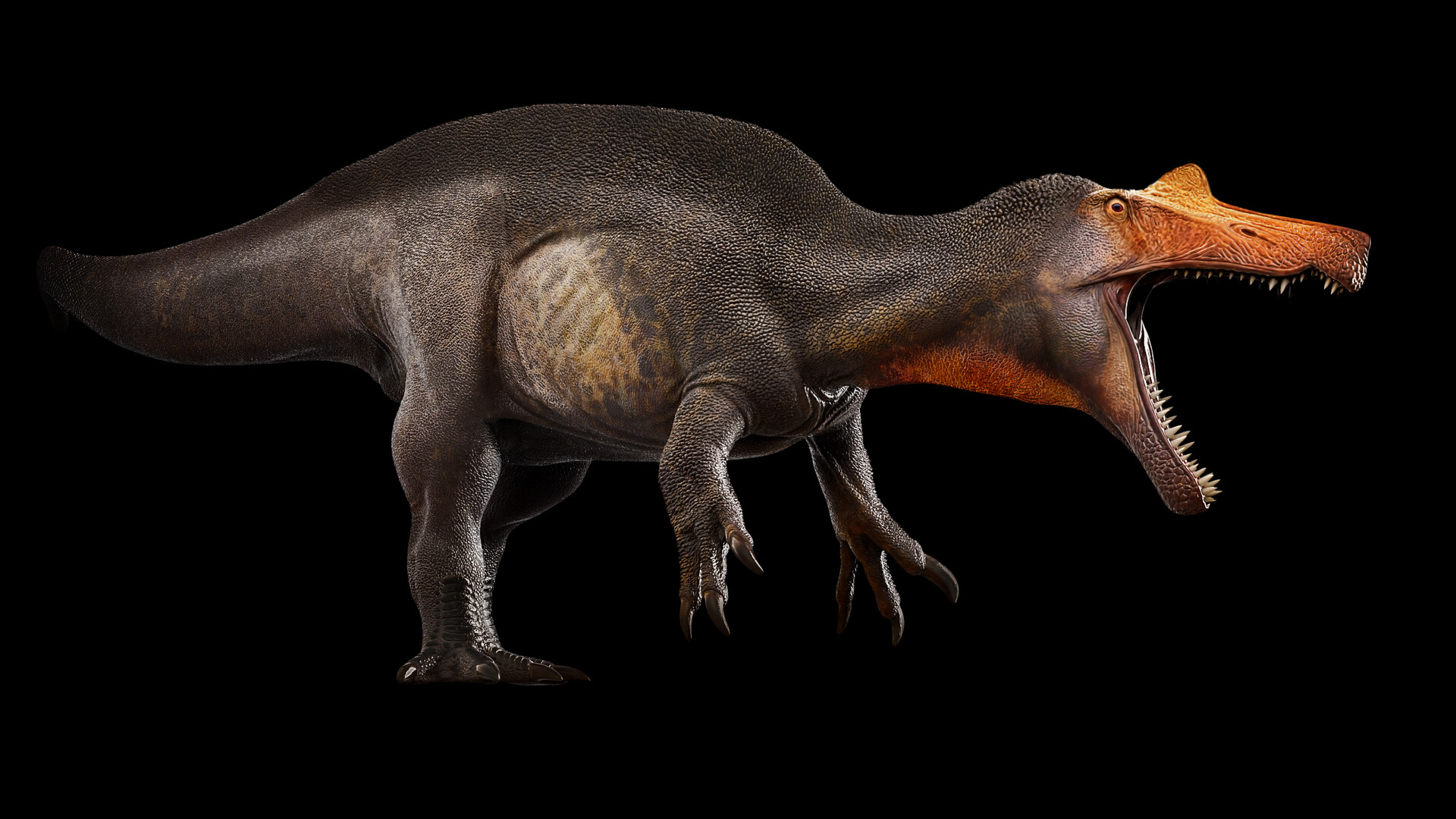 ArtStation - Angaturama limai