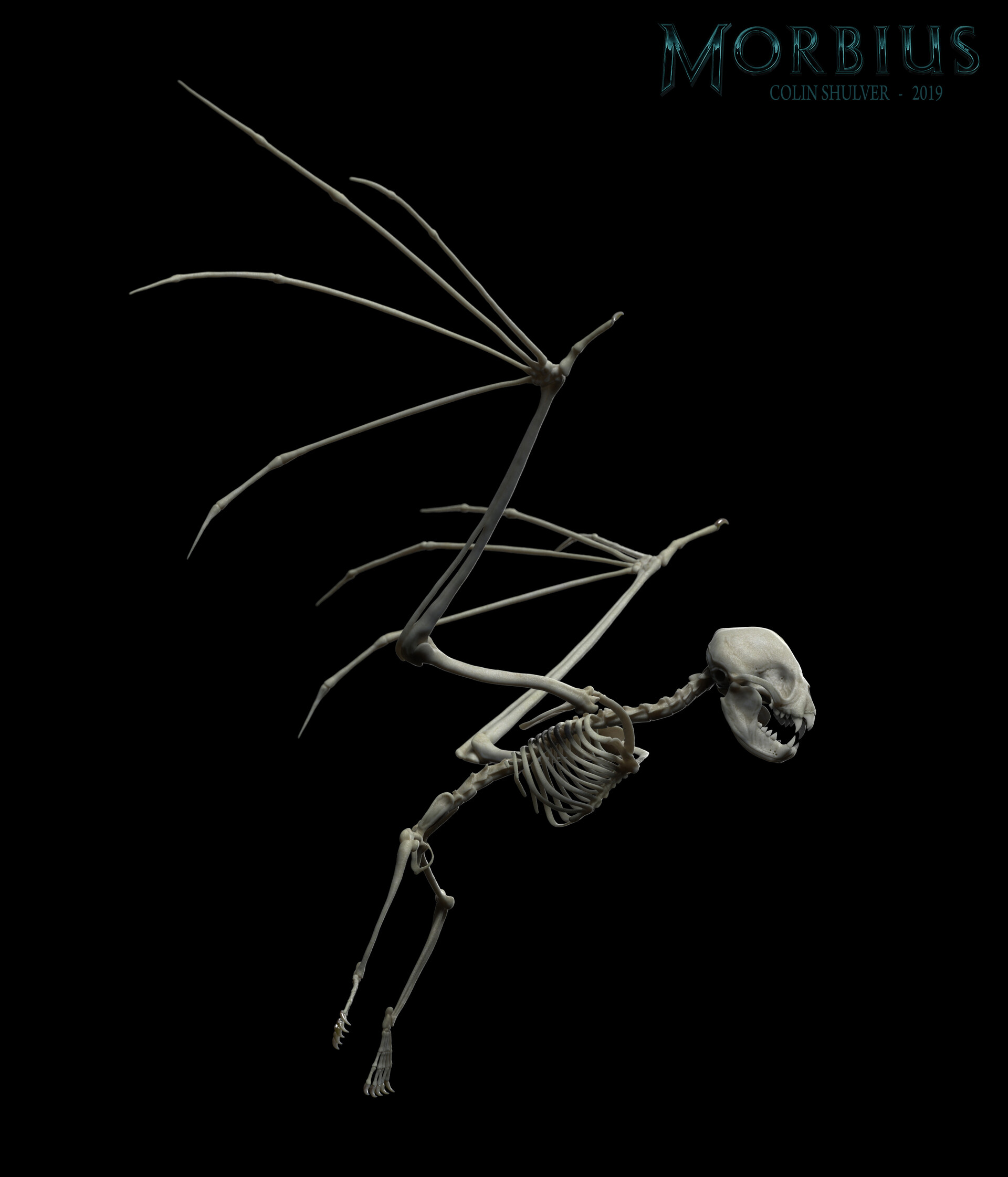 COLIN SHULVER - MORBIUS - Vampire Bat Skeleton