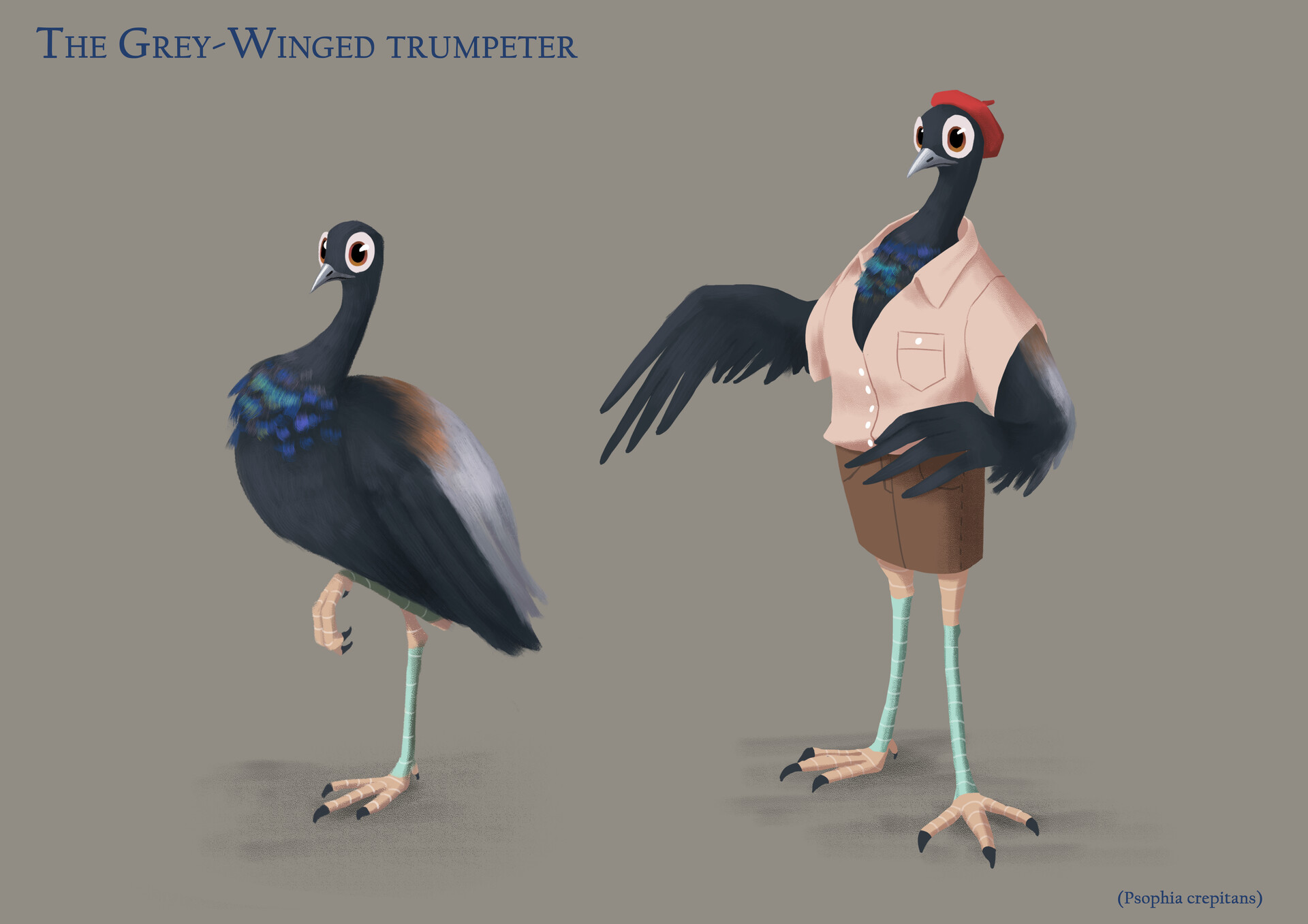 ArtStation - Cartoon Agami