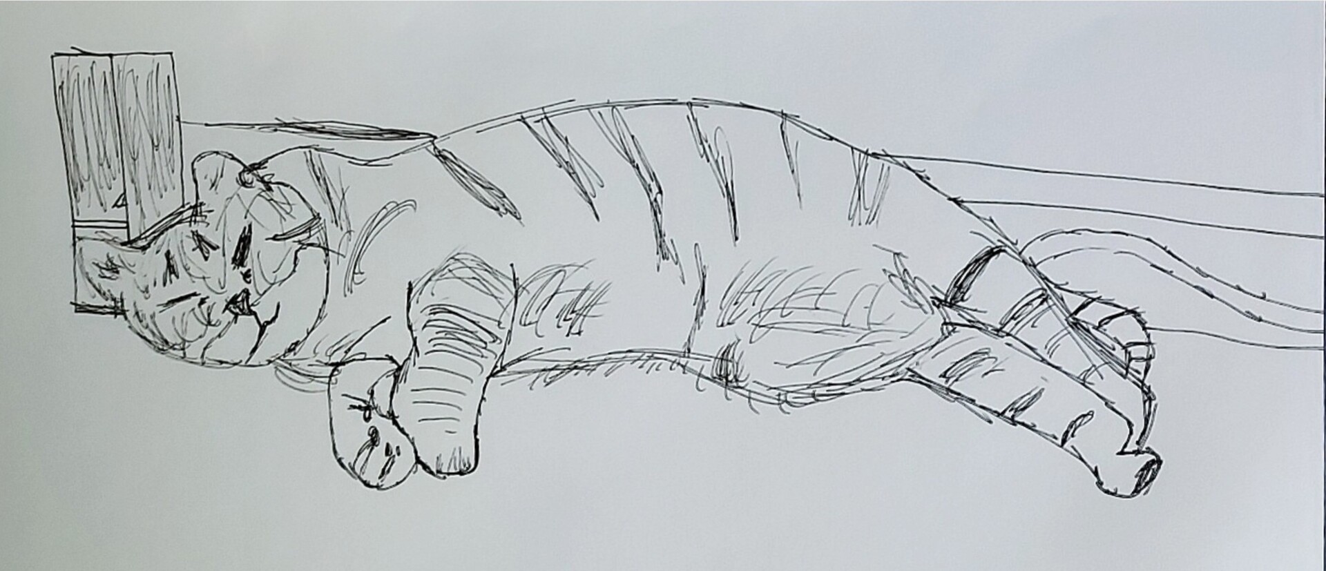 Sita - Pen & Ink Observational Sketches- March 2022