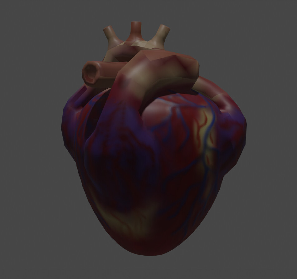 ArtStation - Anatomic human heart