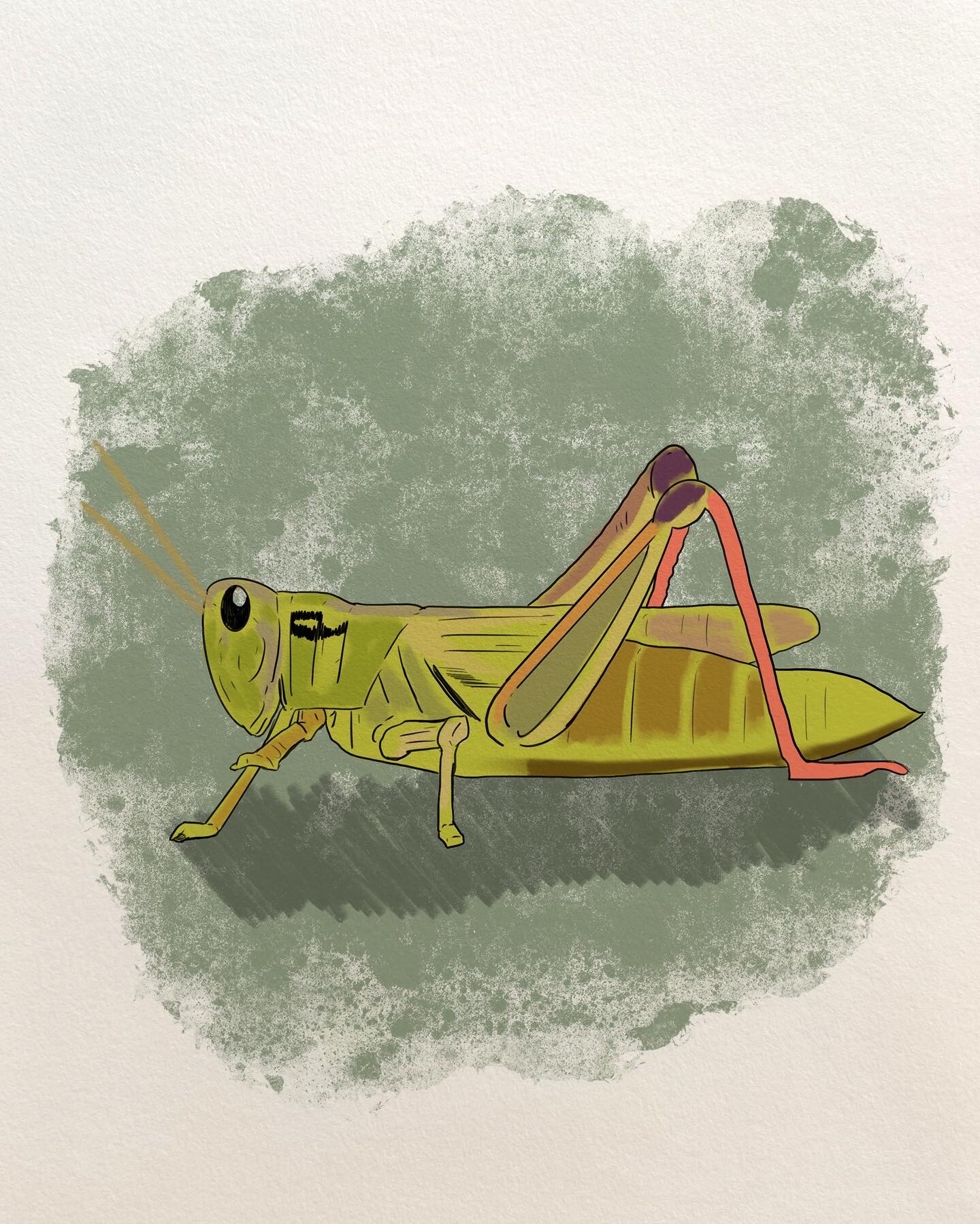ArtStation - Junebug Day 9: Grasshopper