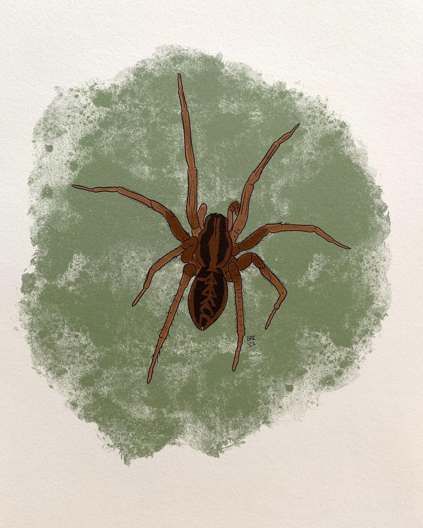 ArtStation - Junebug Day 10: Spider