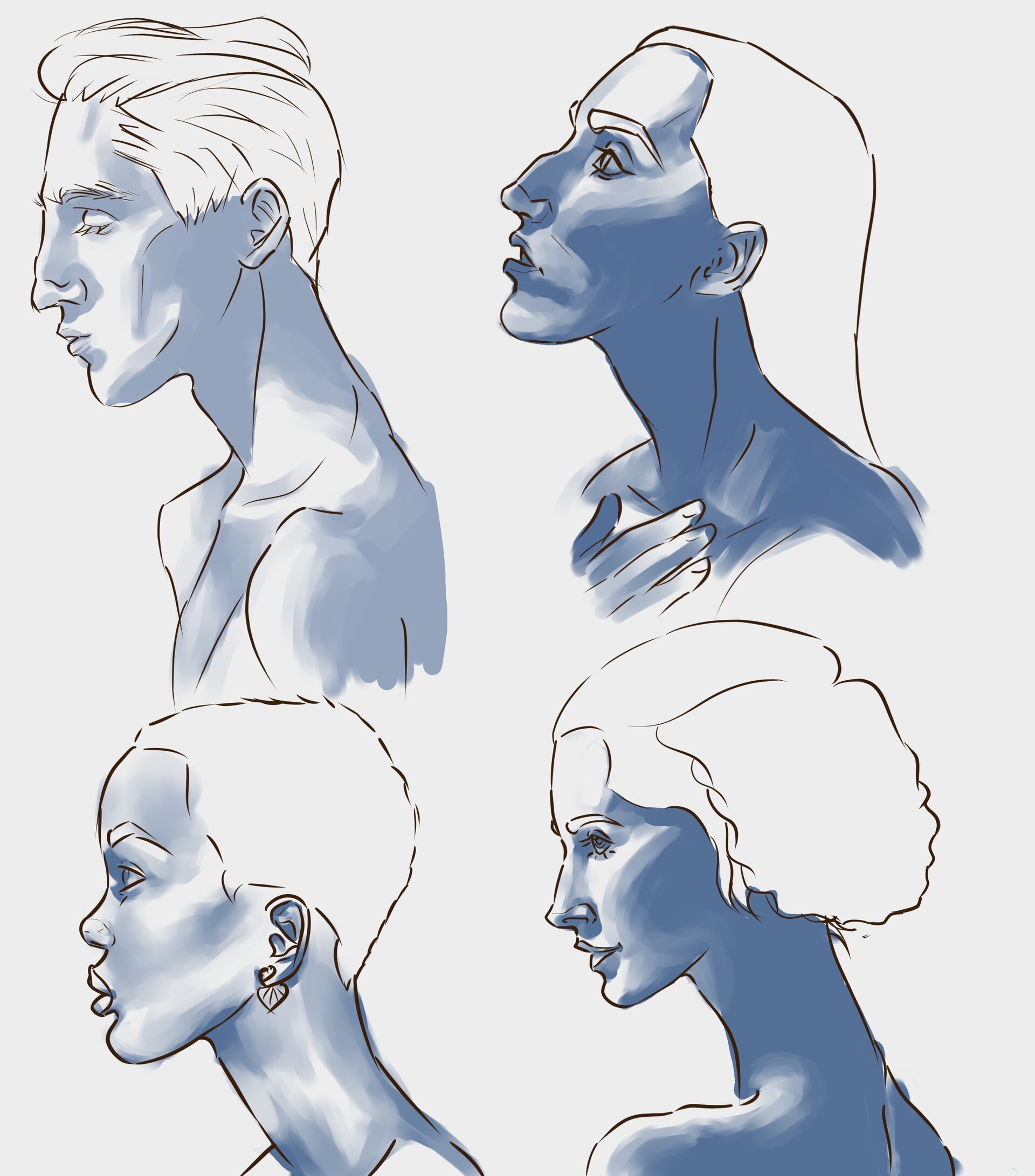 ArtStation - Profiles Study