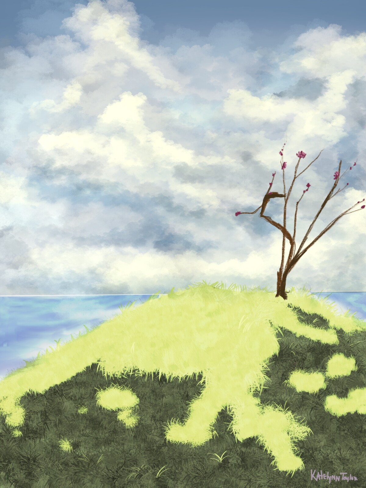 Katelynn Taylor - SummerTime