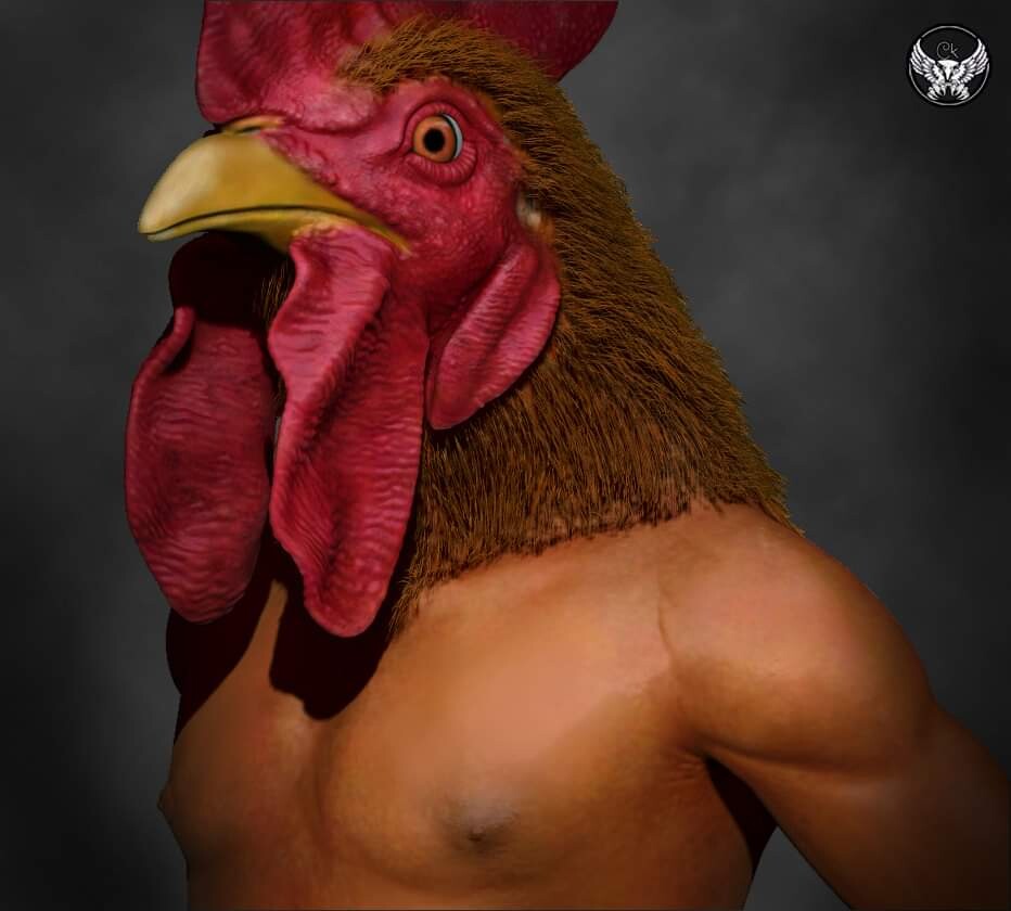 ArtStation - Rooster Study