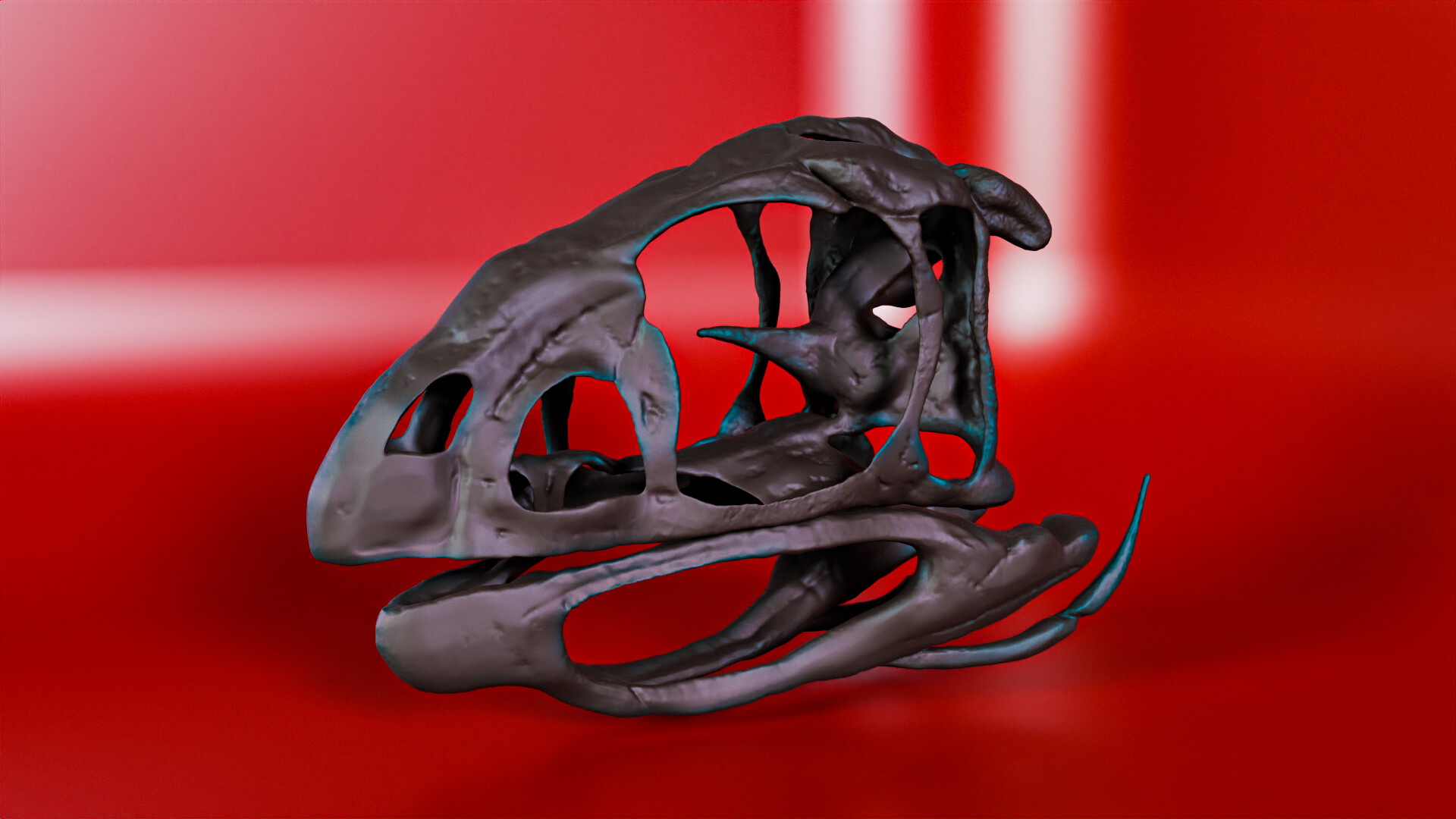 Nic Bushell - Berthasaura leopoldinae Skull