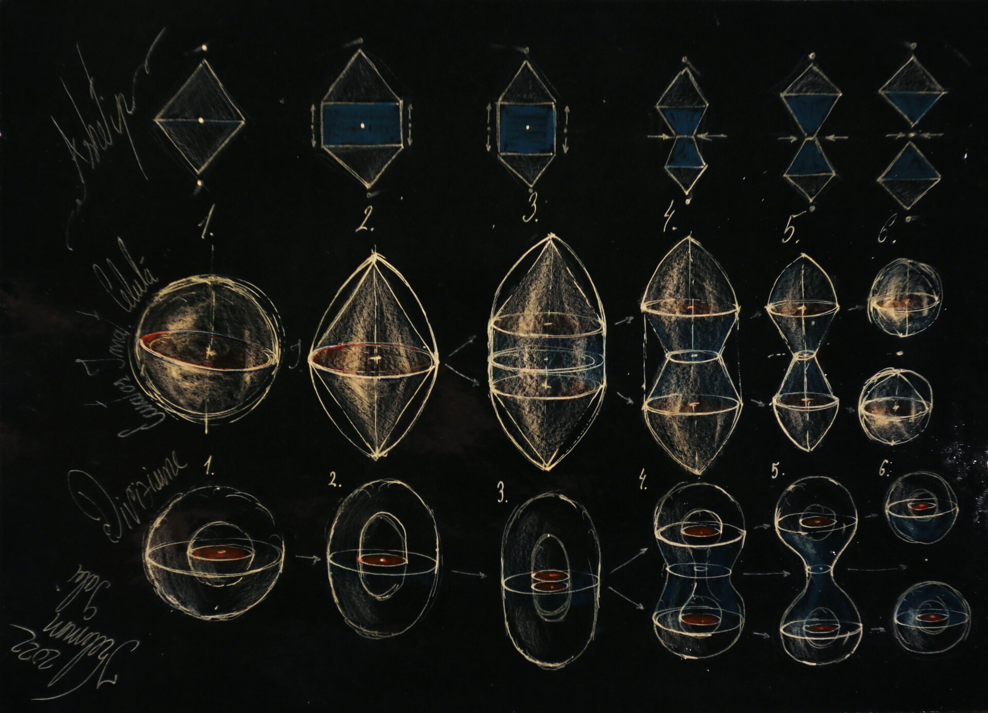 ArtStation - Cell division Archetype