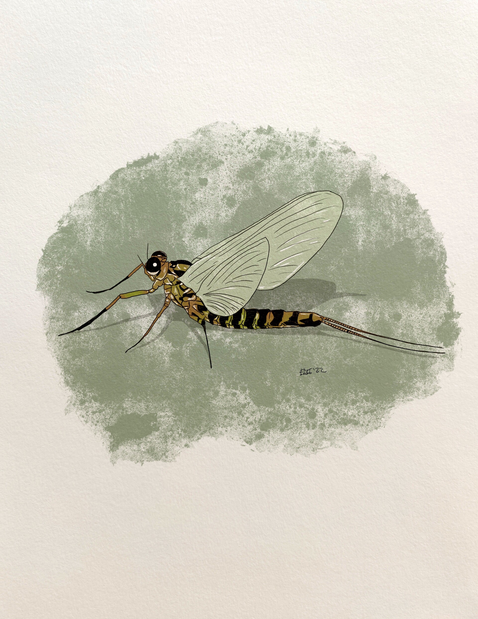 ArtStation - Junebug Day 12: Mayfly