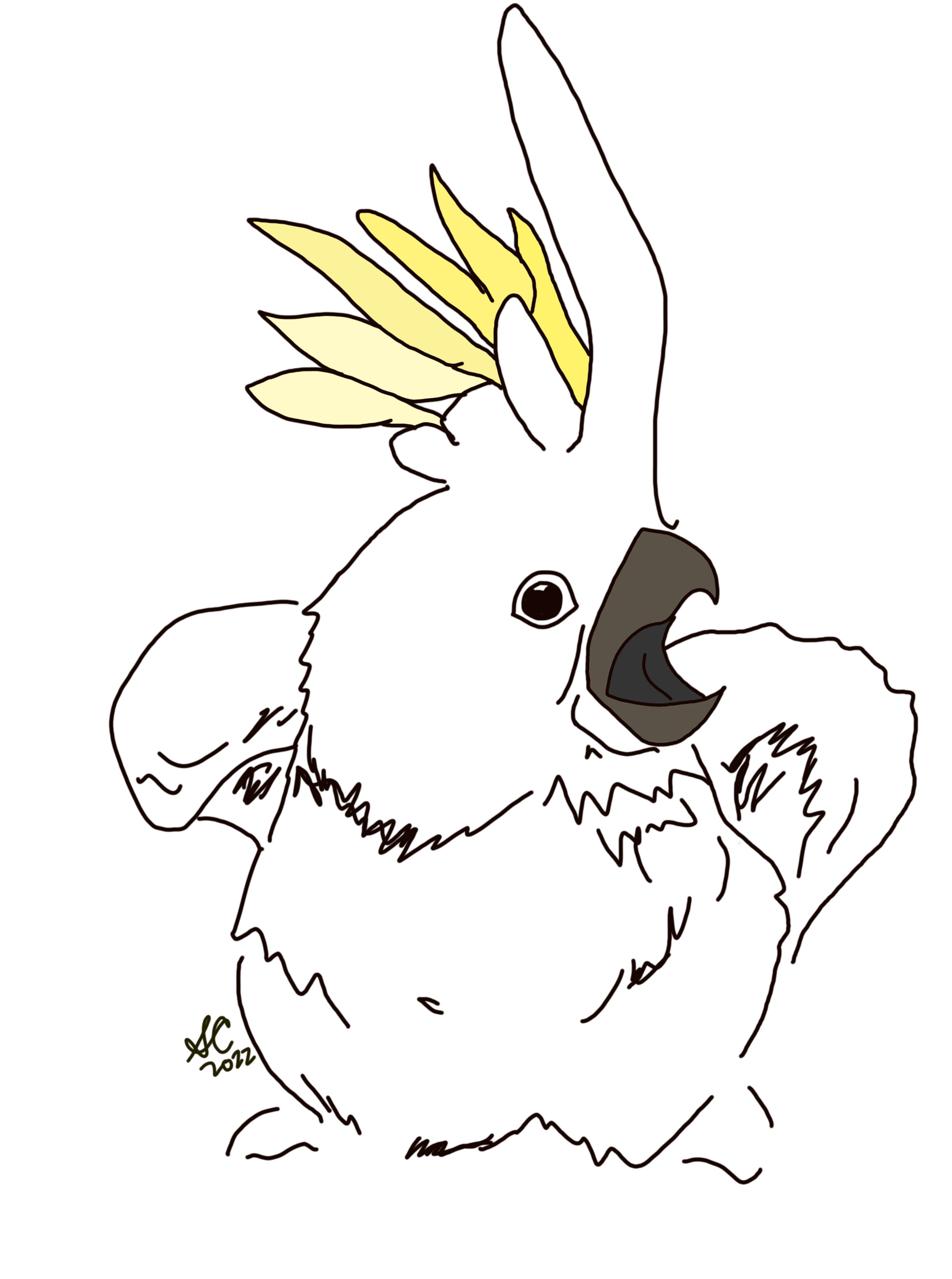 ArtStation - Screaming Cockatoo