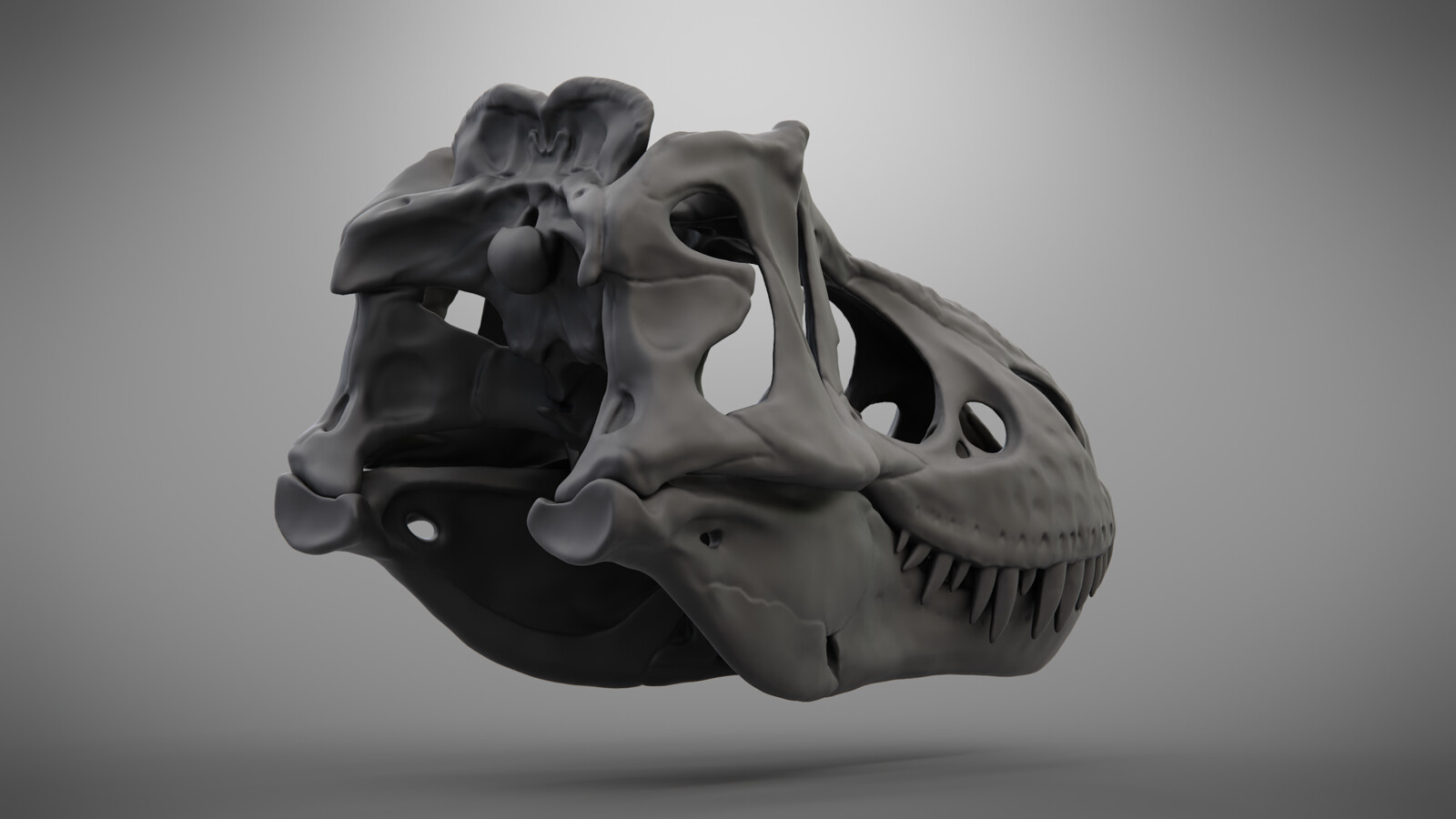 Oakyere - Tyrannosaurus Rex Skull