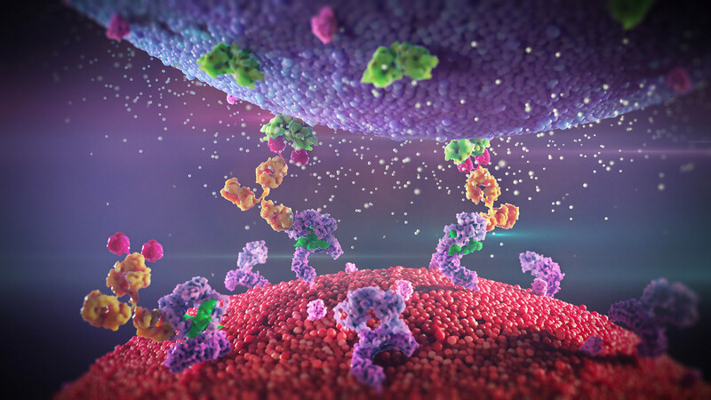 ArtStation - Magda Świtoń