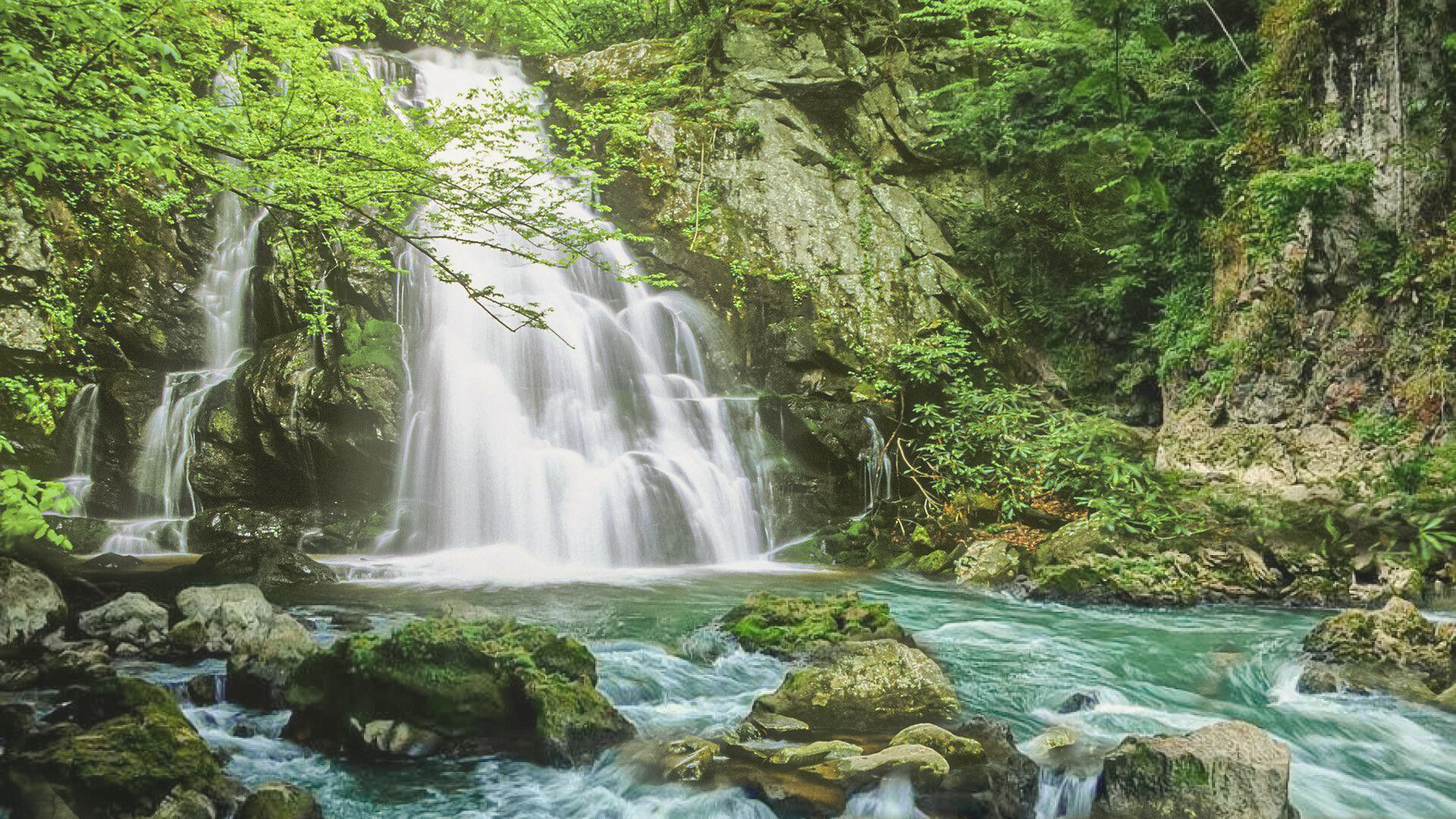 ArtStation - Cliff Rock Forest Waterfall