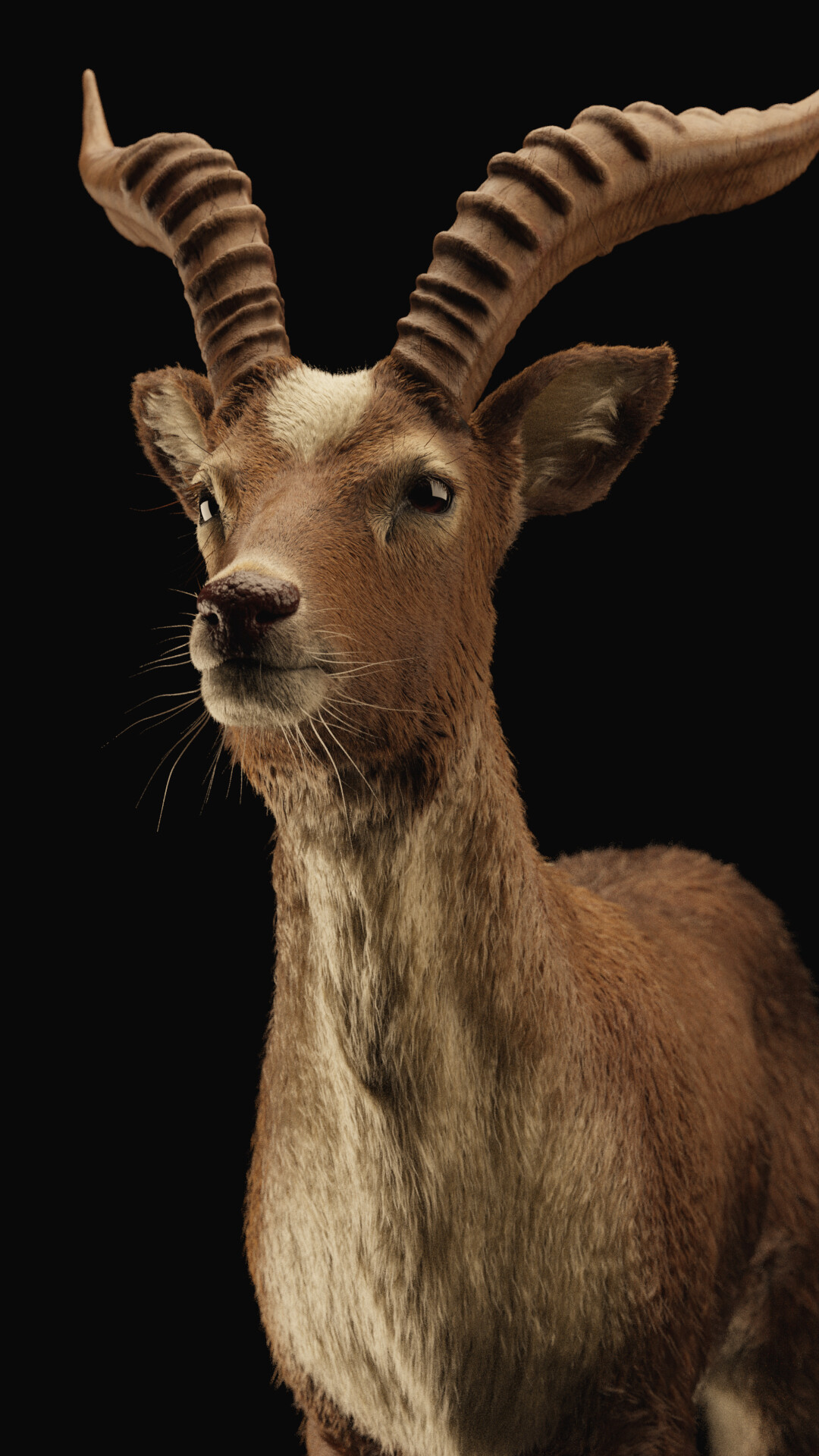 ArtStation - Yakkuru