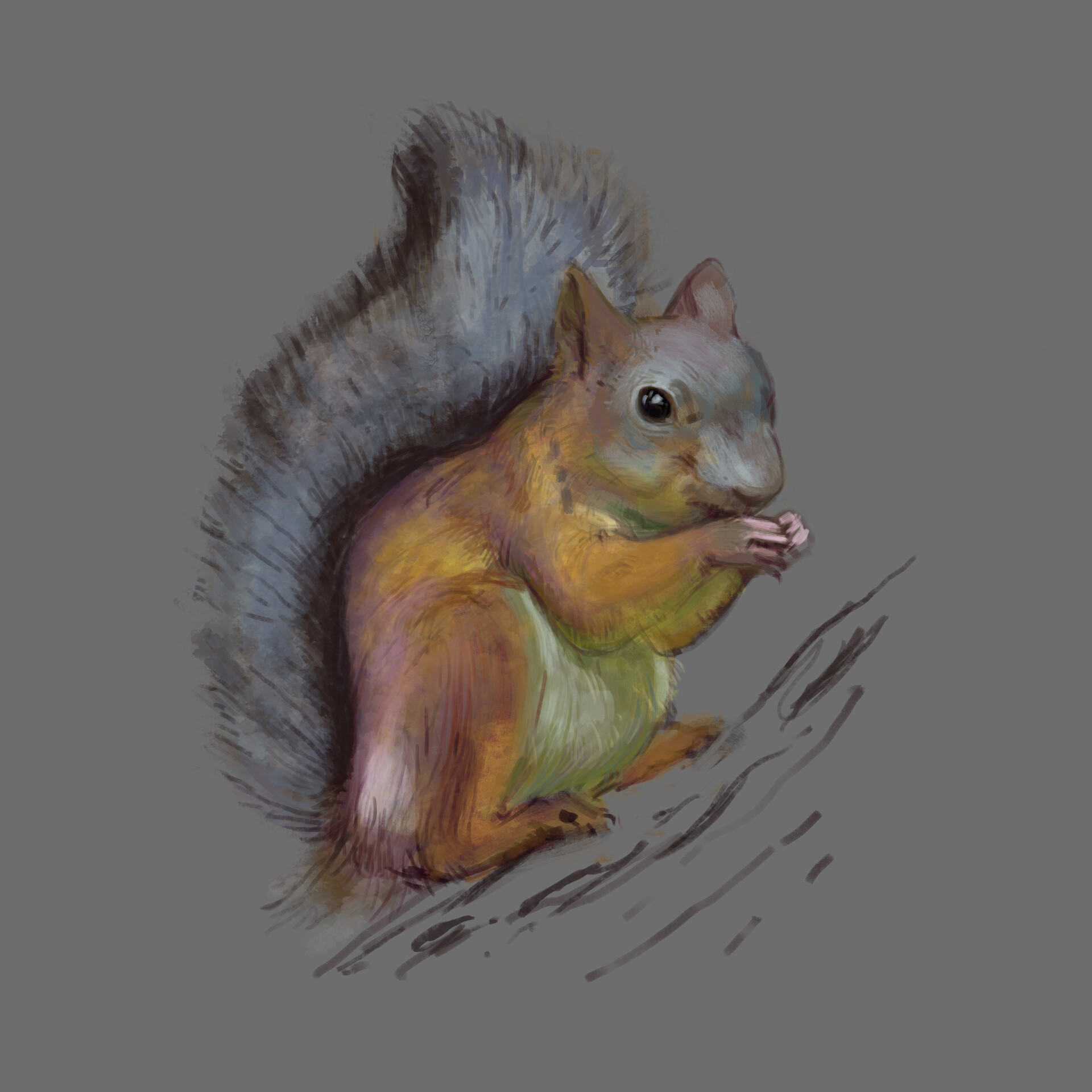 ArtStation - squirrel