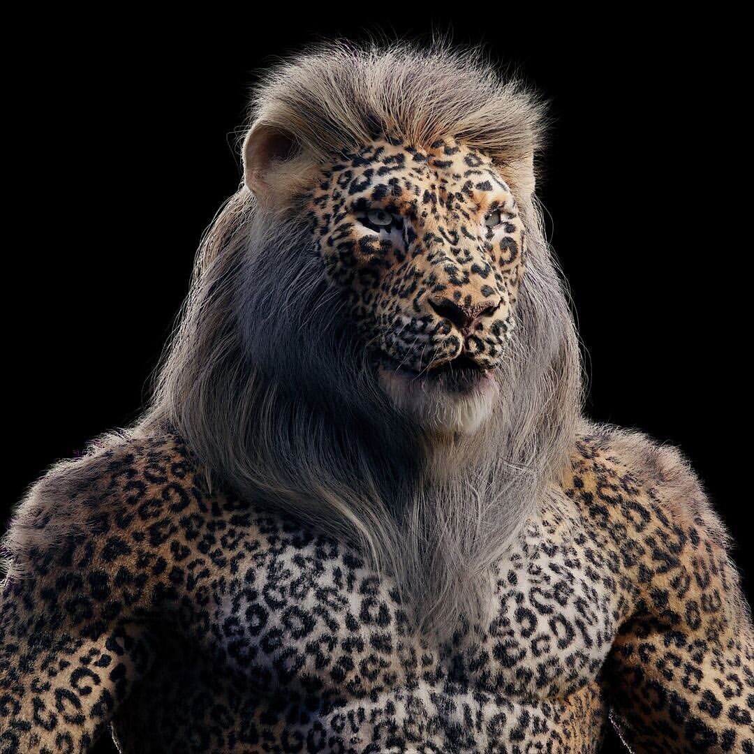 ArtStation - 3d animal ART