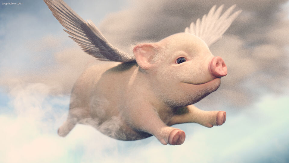 ArtStation - Pigasus