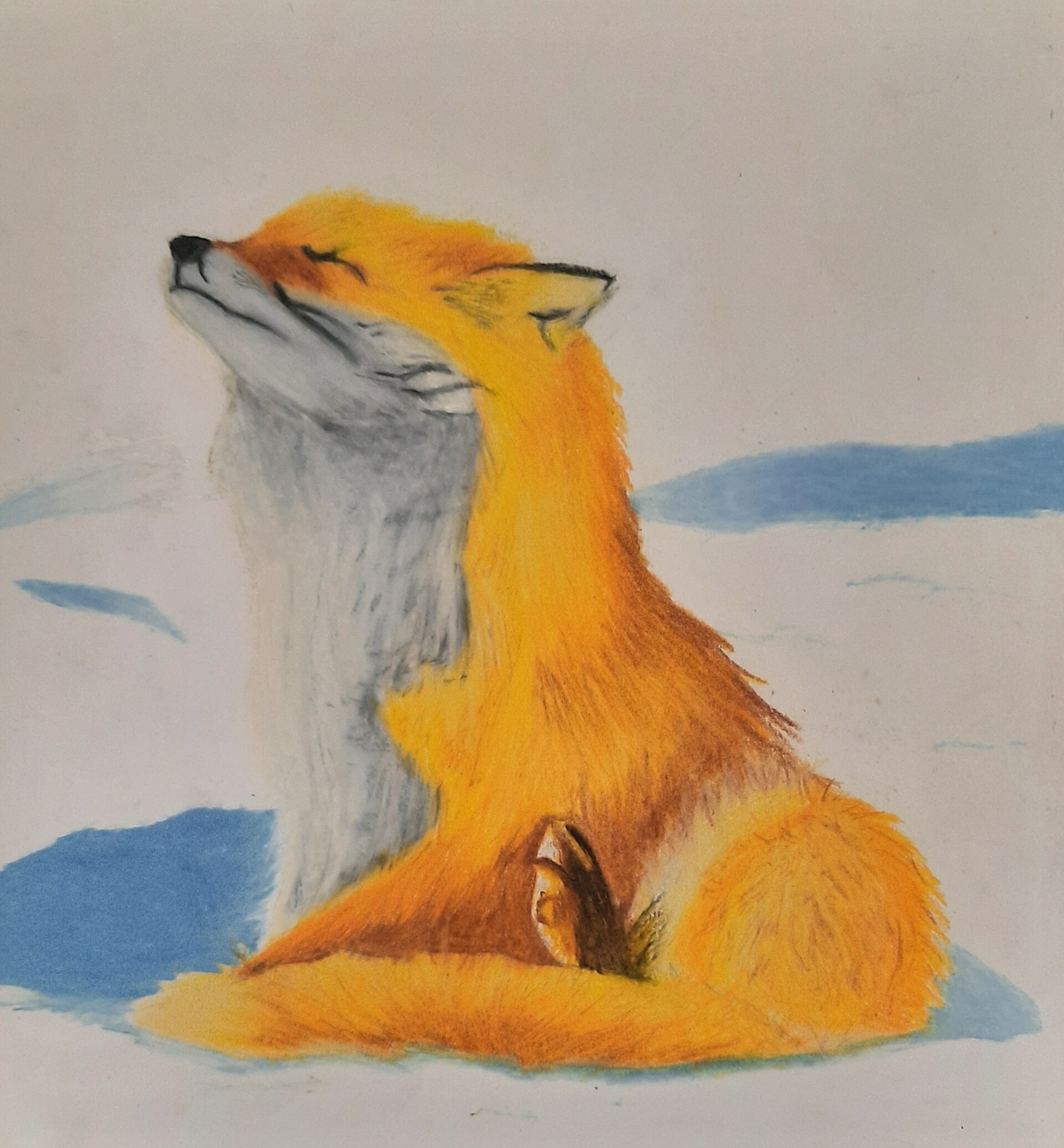 ArtStation - Fox Observational Study