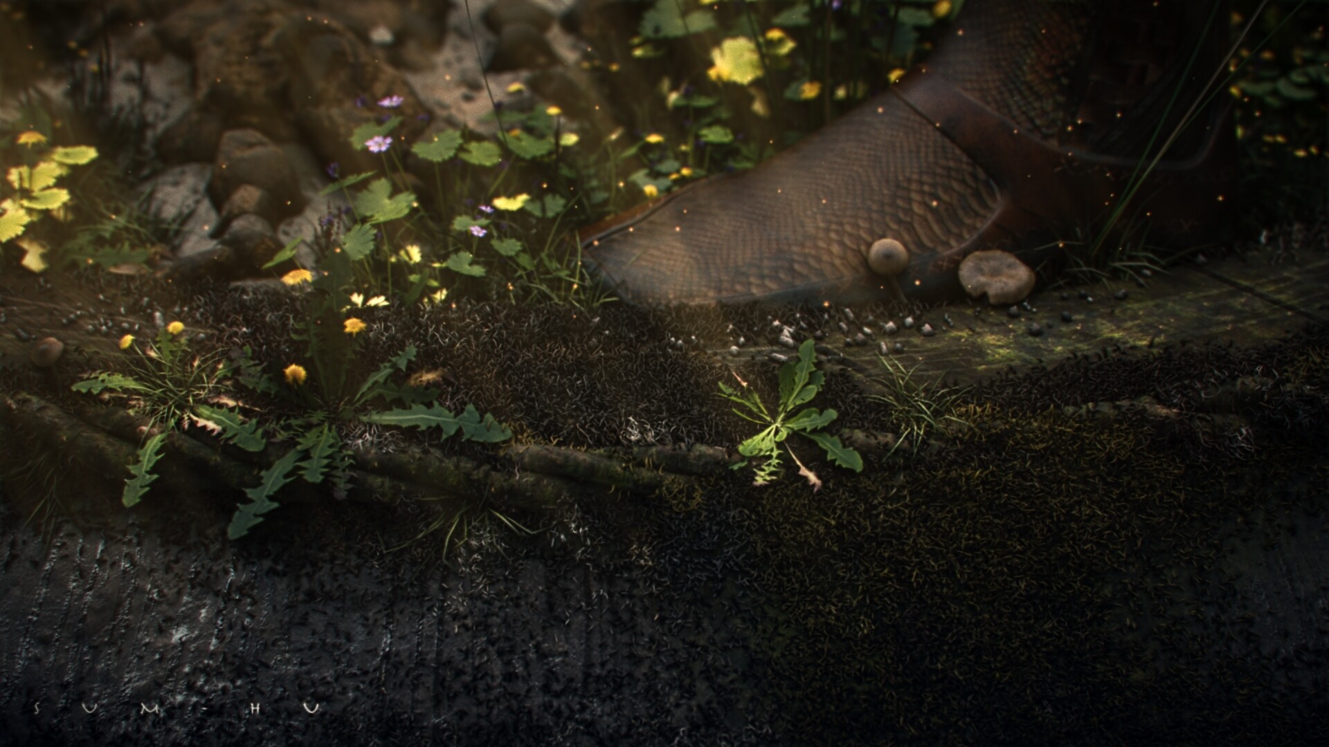 fidel.design - Sum-Hu