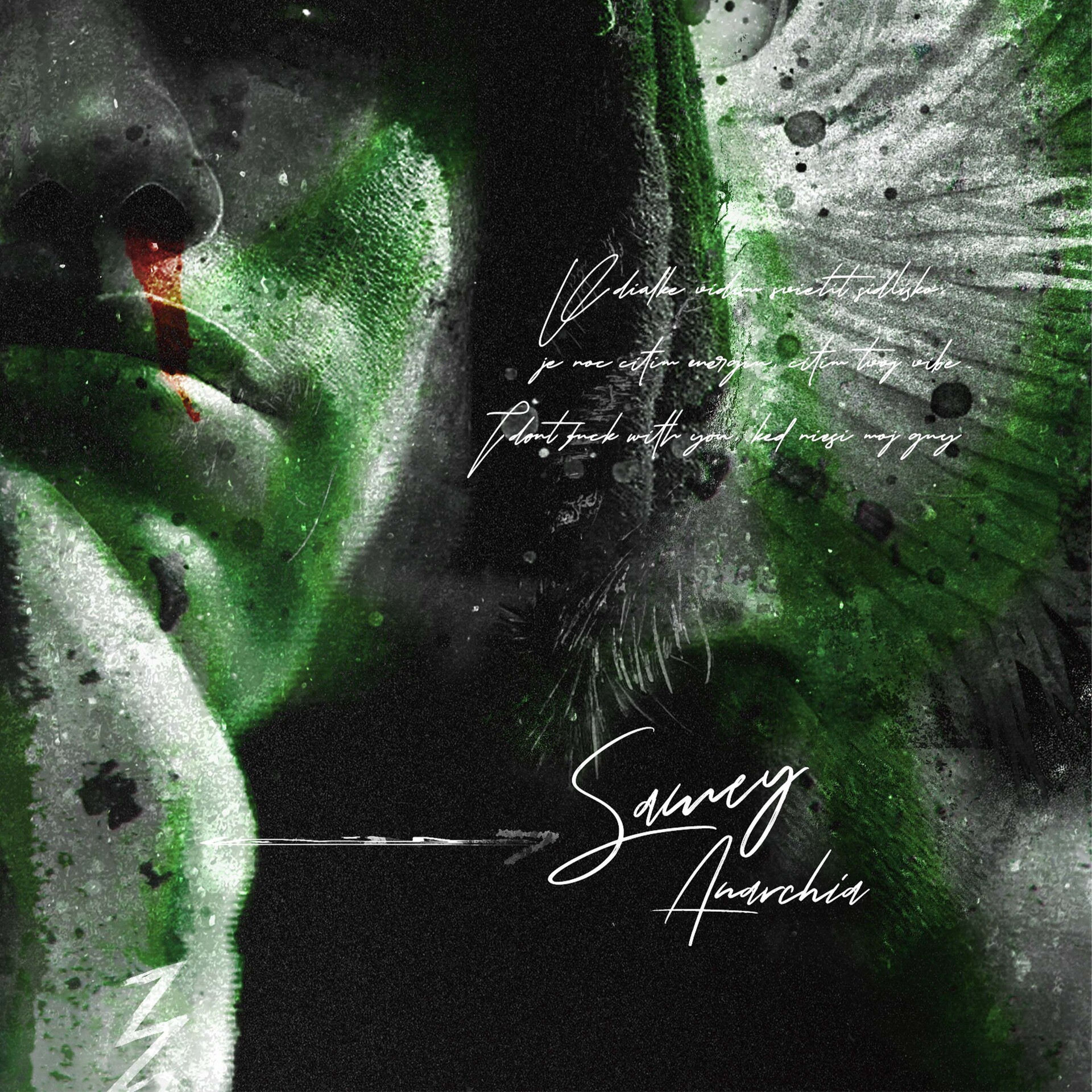 Jakub Polách - SAMEY ANARCHIA