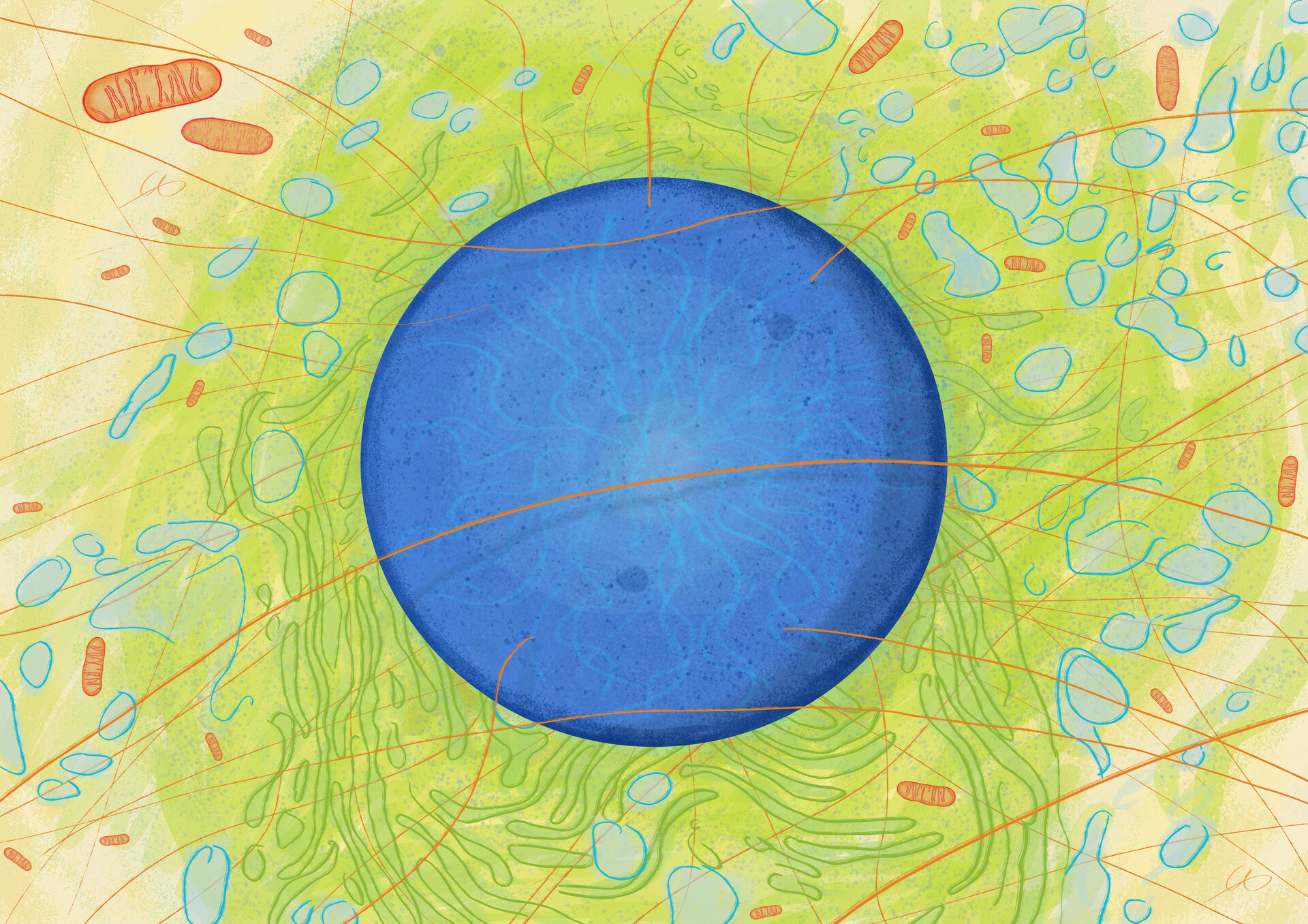 ArtStation - Inside the cell