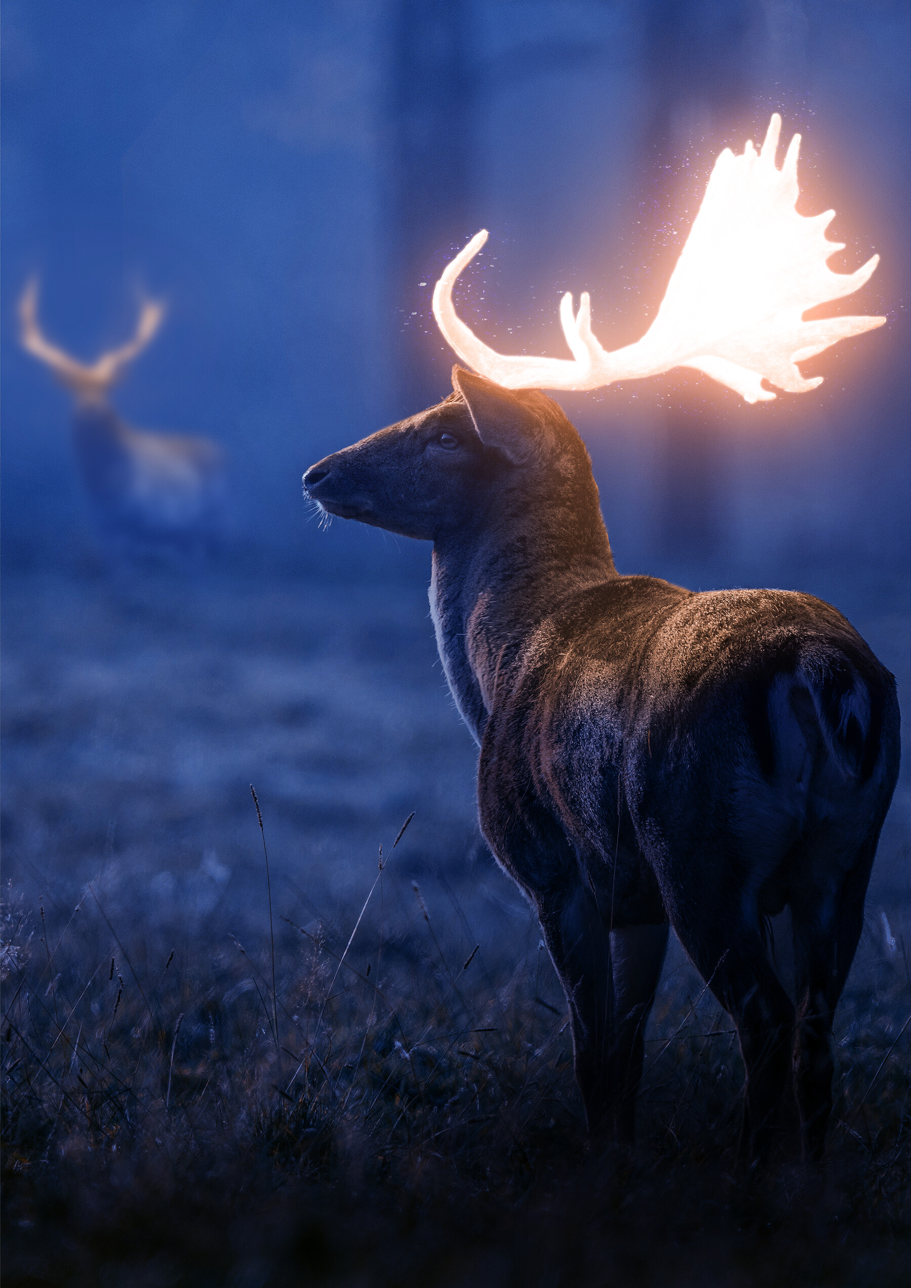 ArtStation - Glow deer