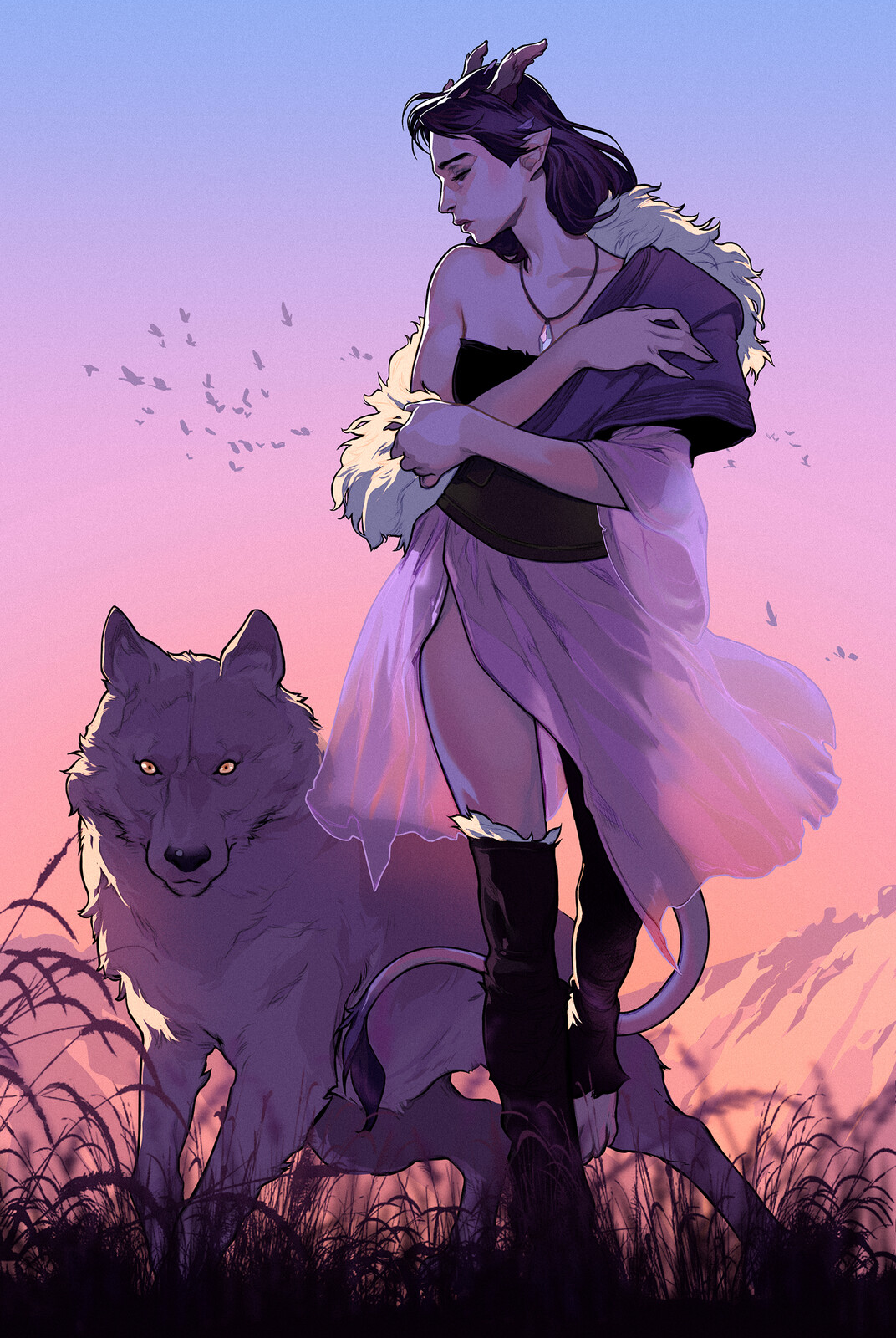 IllustraBox Studio - COMPANION