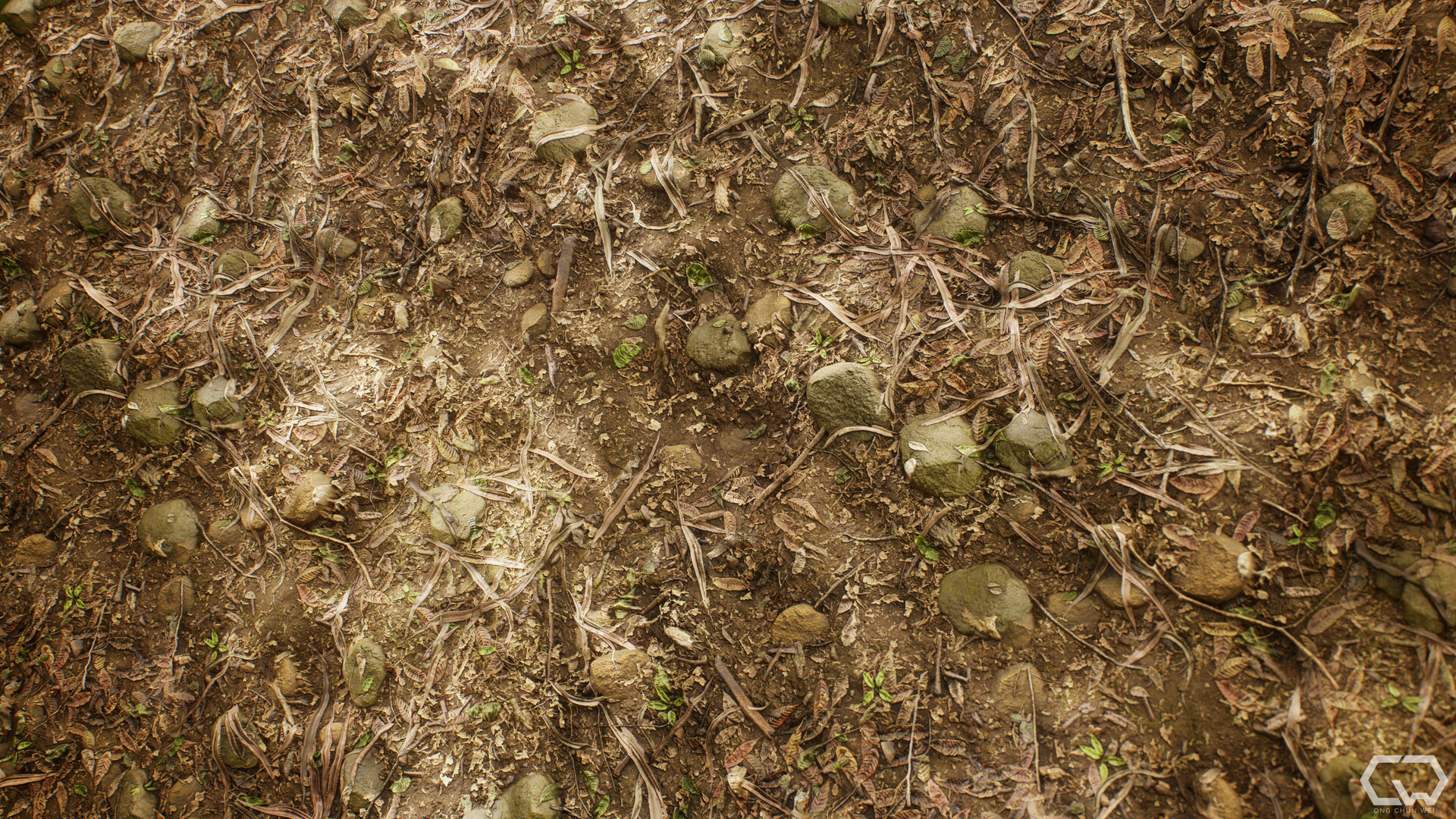 Chun Wei Ong - Tropical Forest Ground