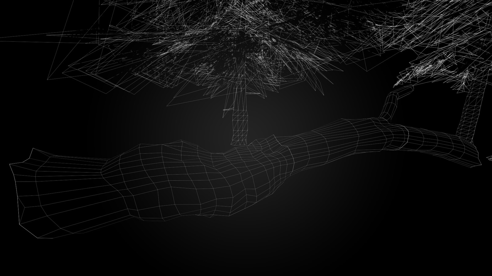 Ayaan S - Foliage Practice