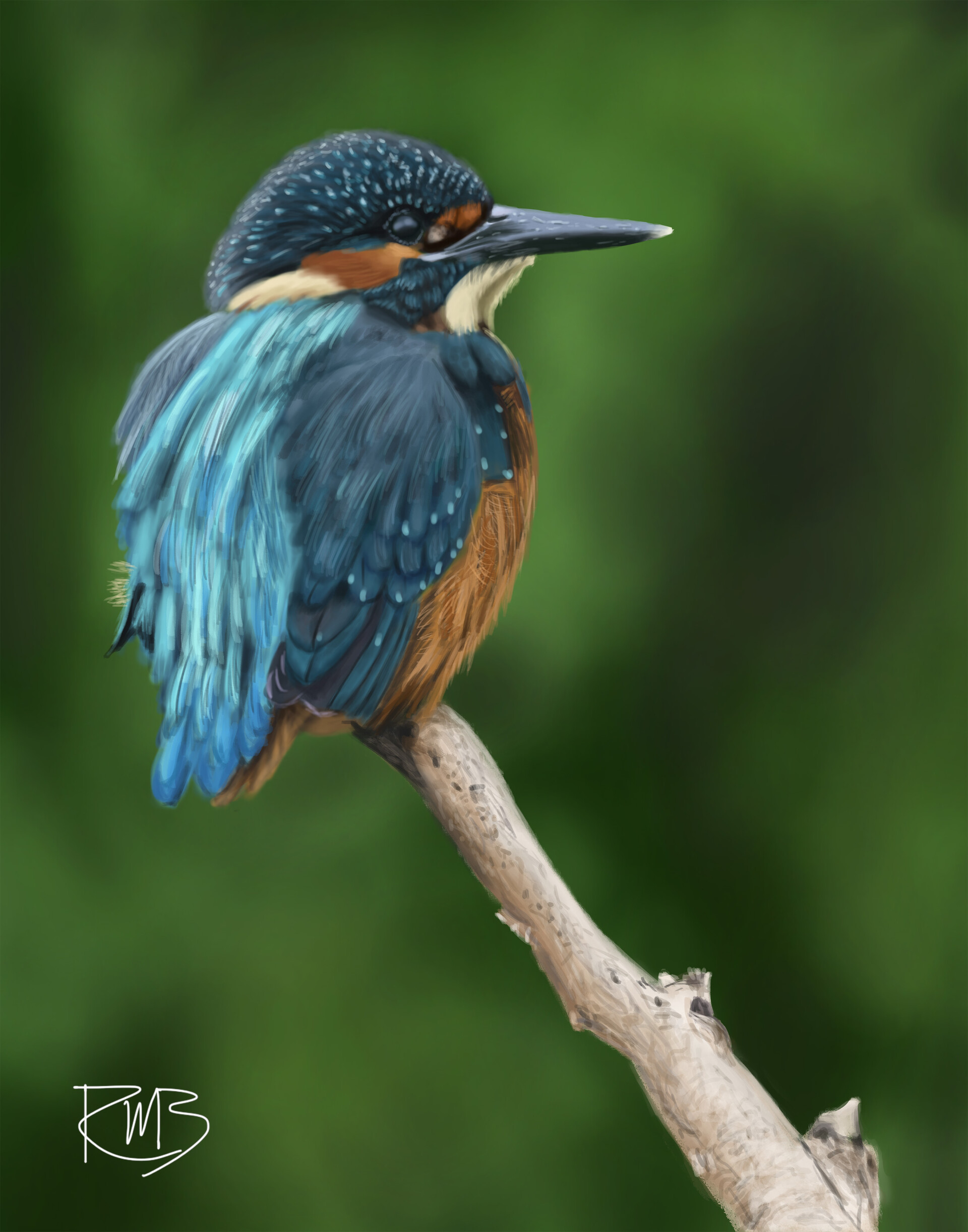 ArtStation - Kingfisher