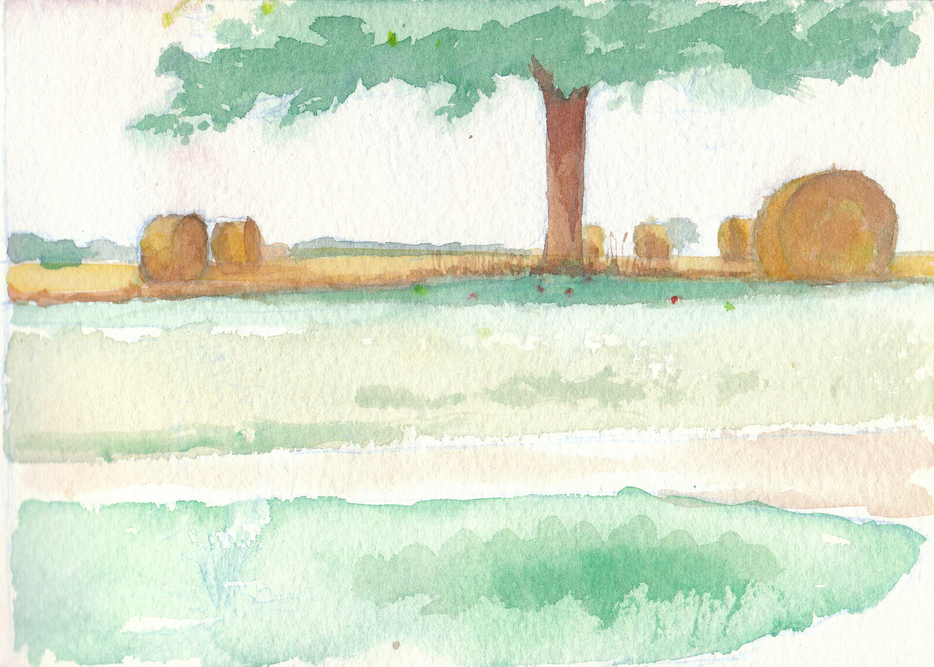 pete burrows - Traditional media paintings. Watercolour and Oils