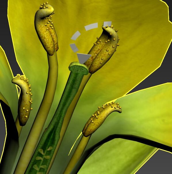 pete burrows - Organic artwork. Plants