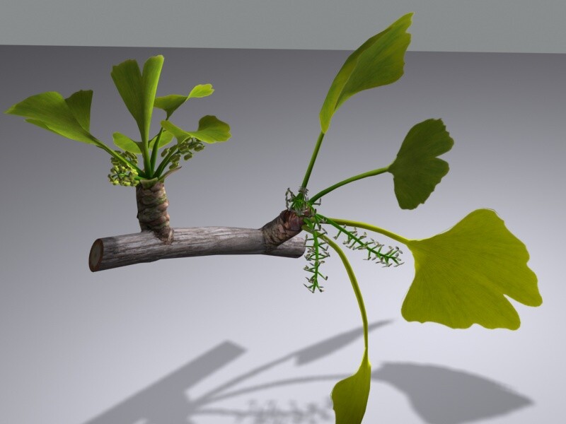 pete burrows - Organic artwork. Plants